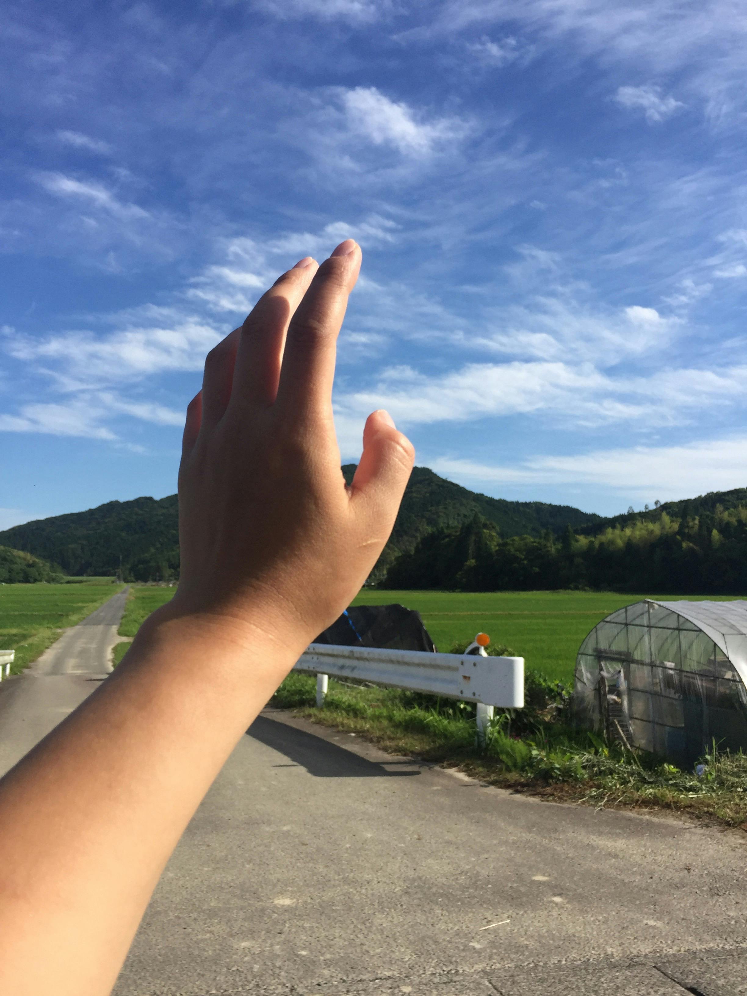 Jin Yoo - Photography