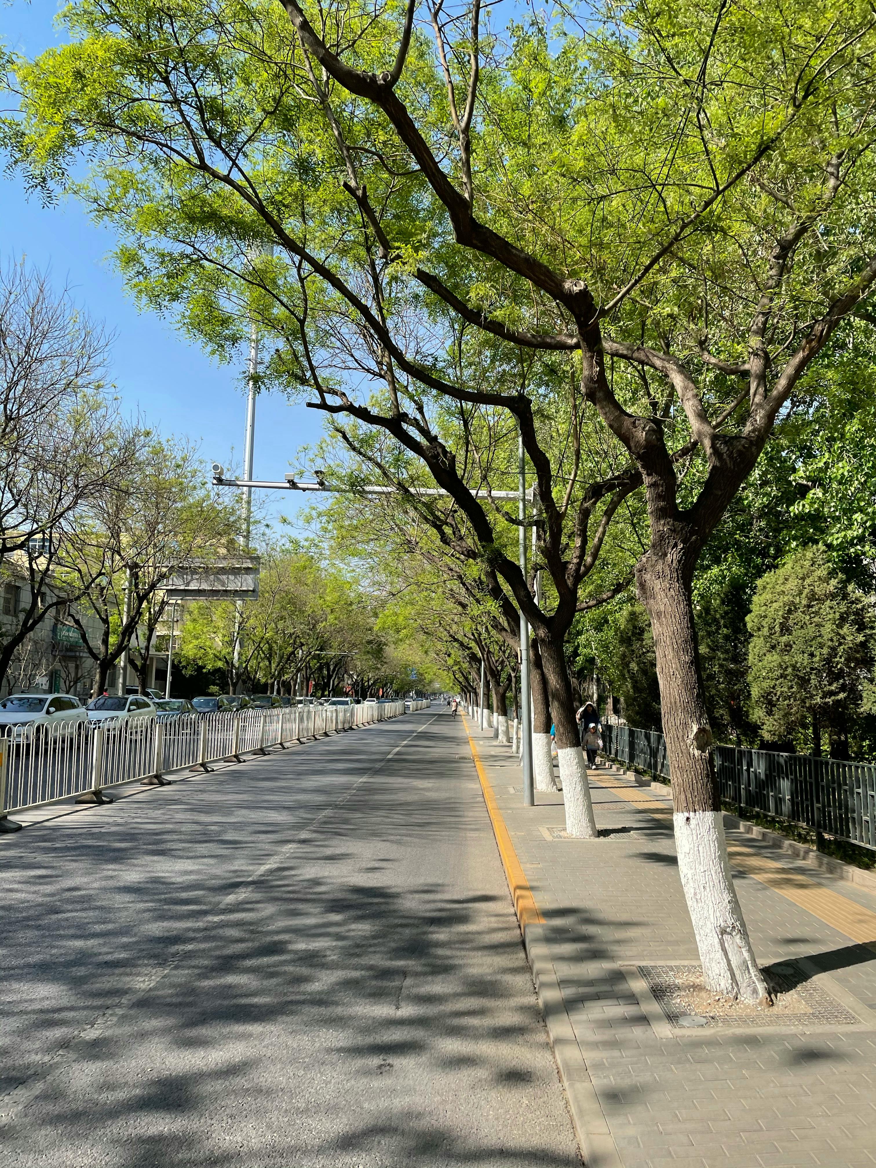 Urban Parkway Photos, Download The BEST Free Urban Parkway Stock Photos ...