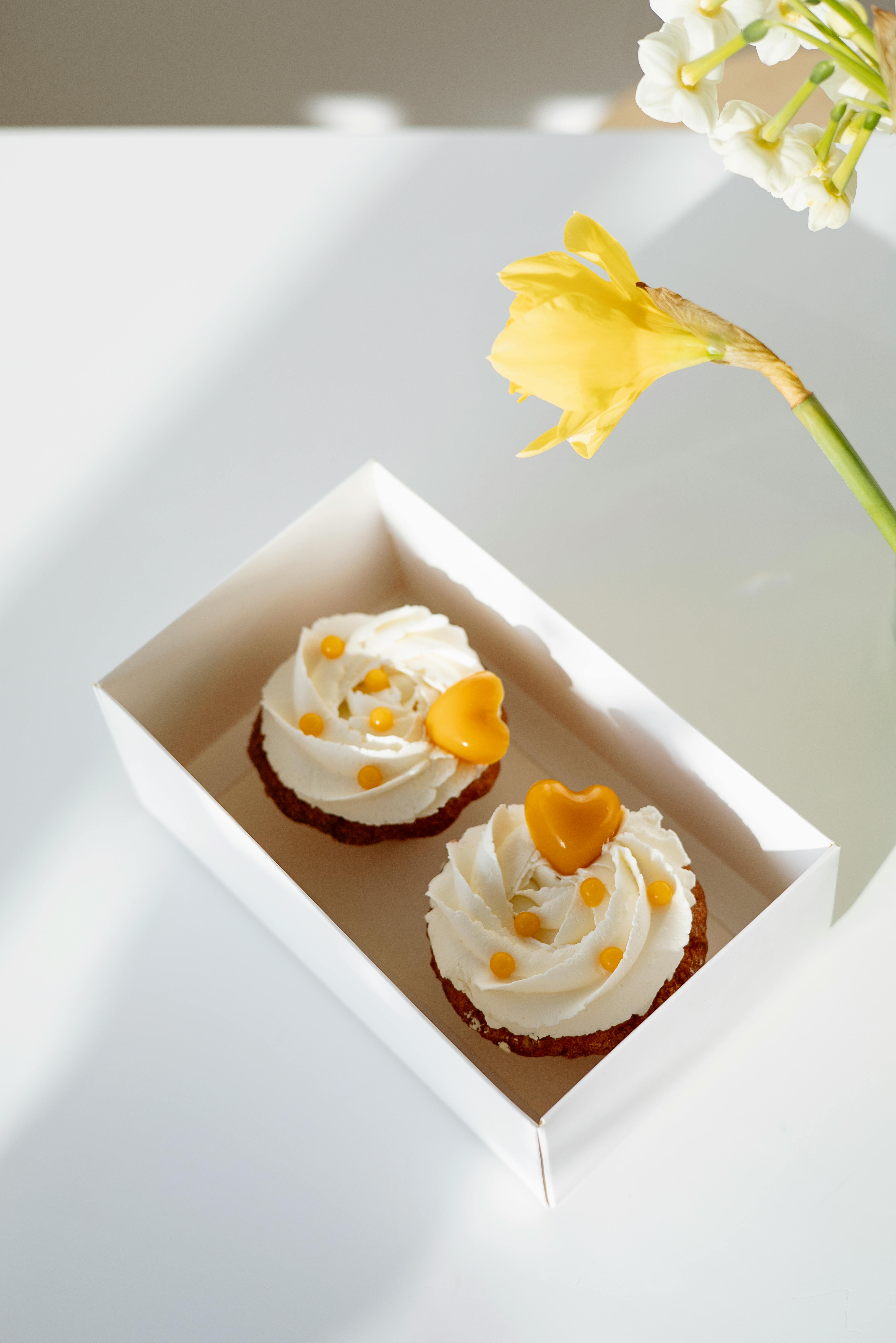 Cupcakes in a Box · Free Stock Photo