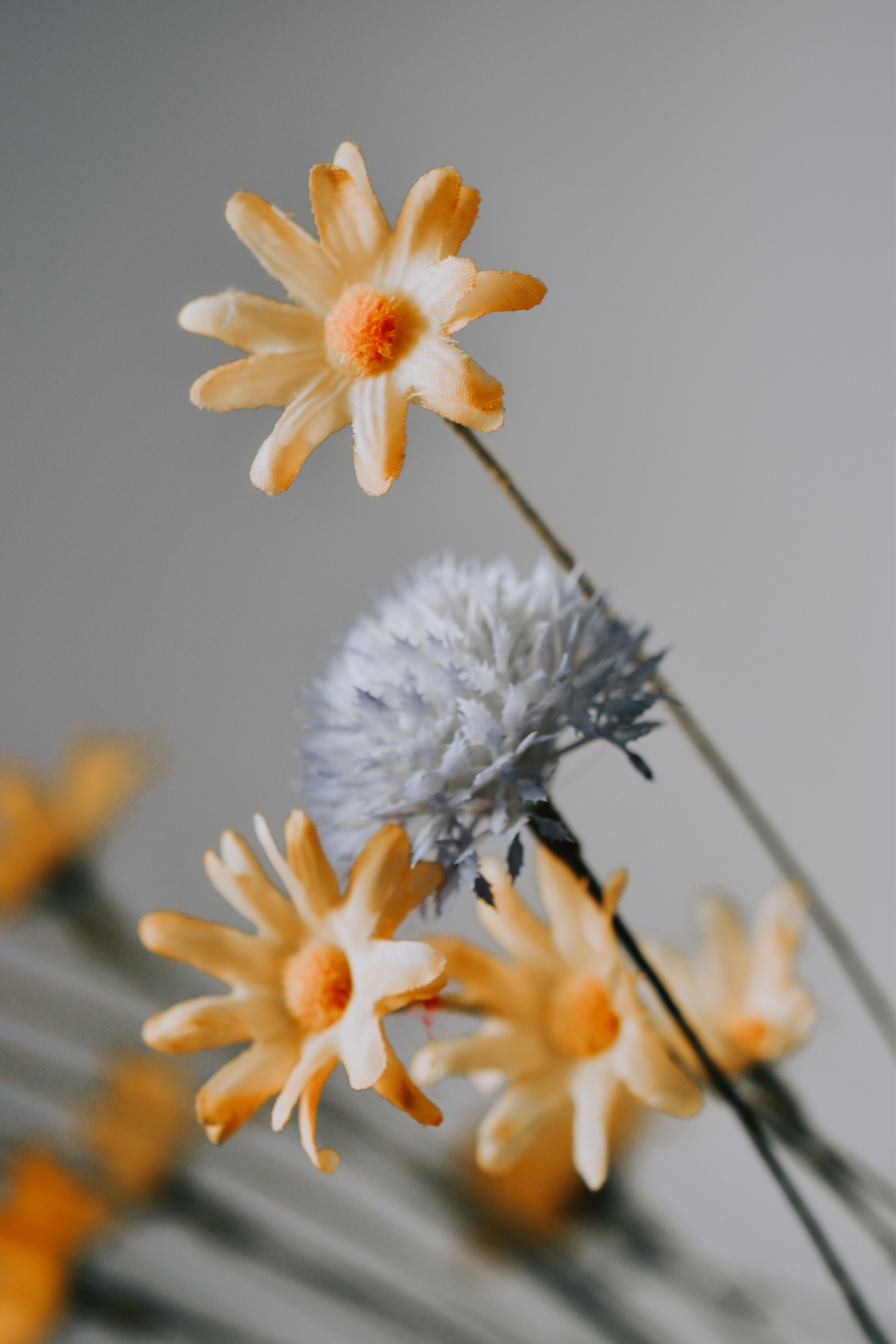 Pink Flowers on a Winding Object · Free Stock Photo