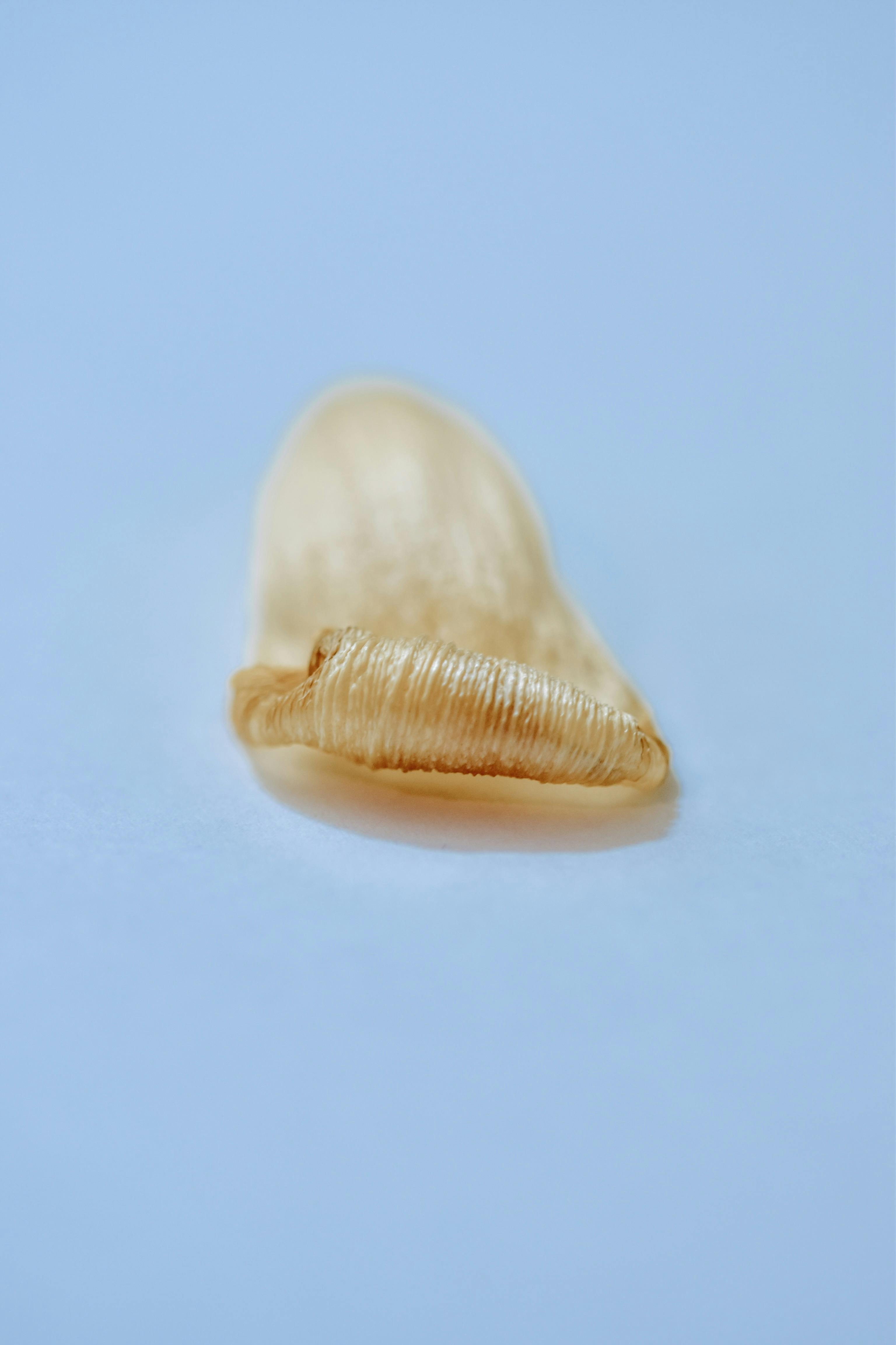 Gray Stone · Free Stock Photo