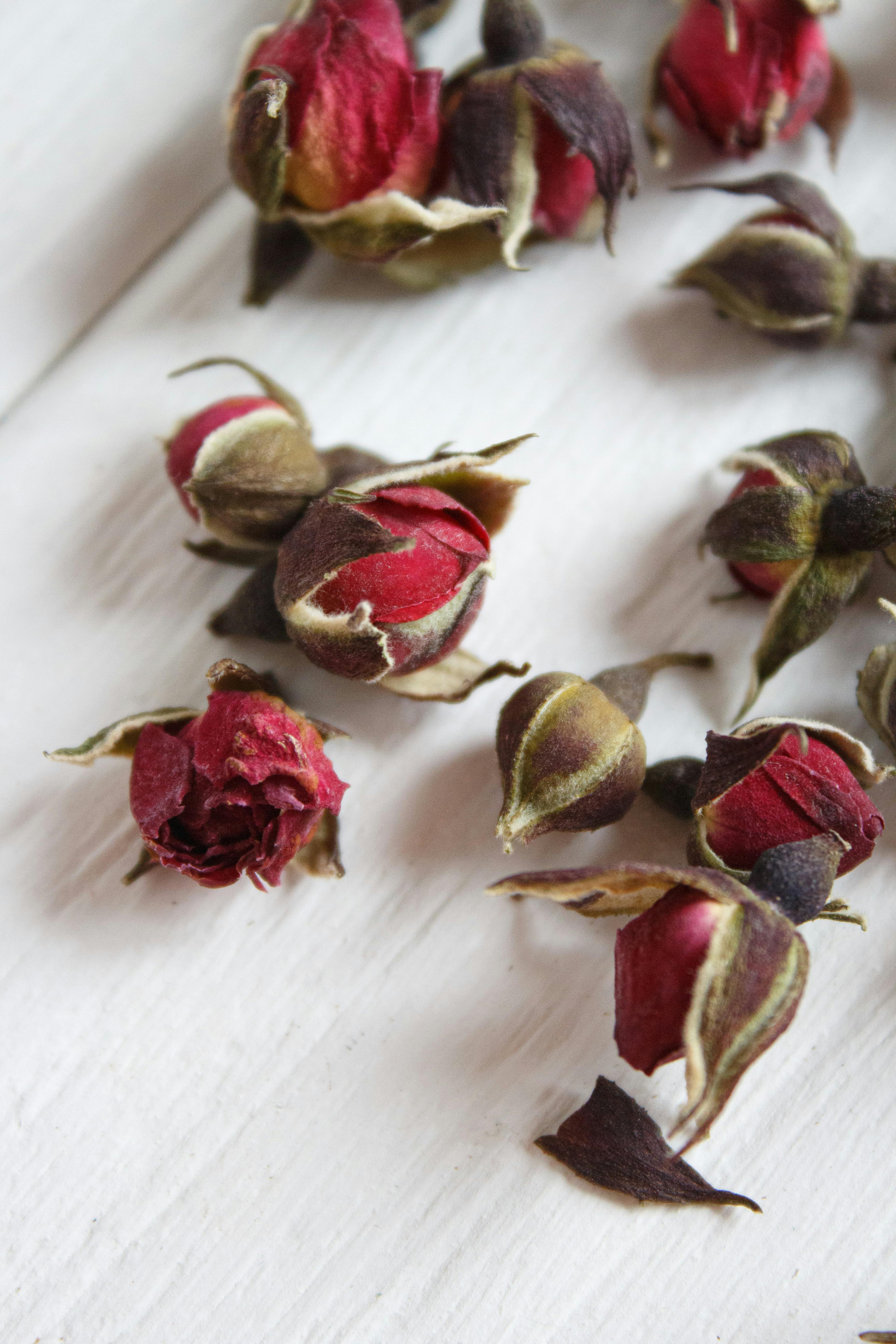 Dry buds of roses placed on light table · Free Stock Photo