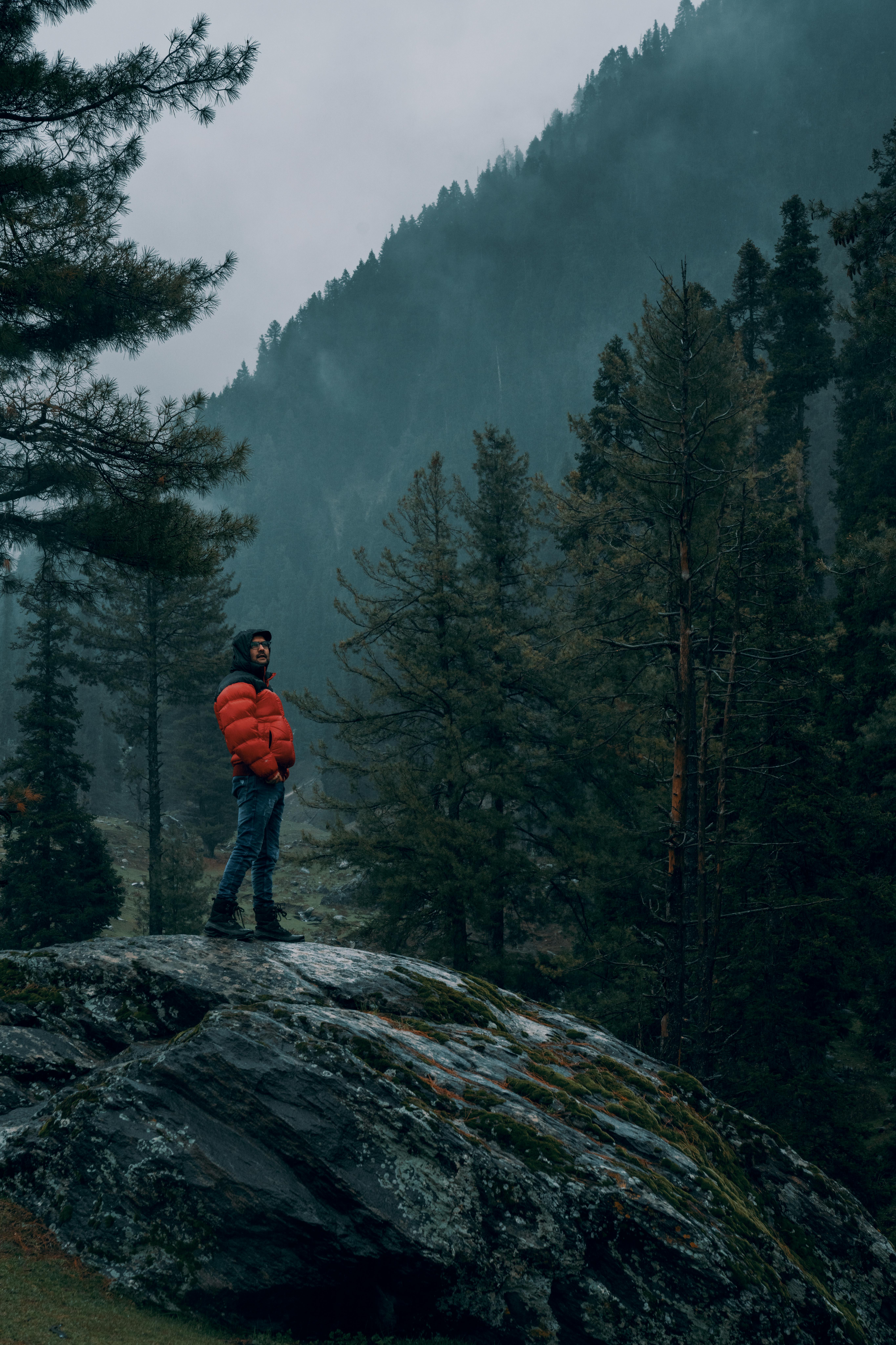 Man in a Jacket Standing Near Trees · Free Stock Photo