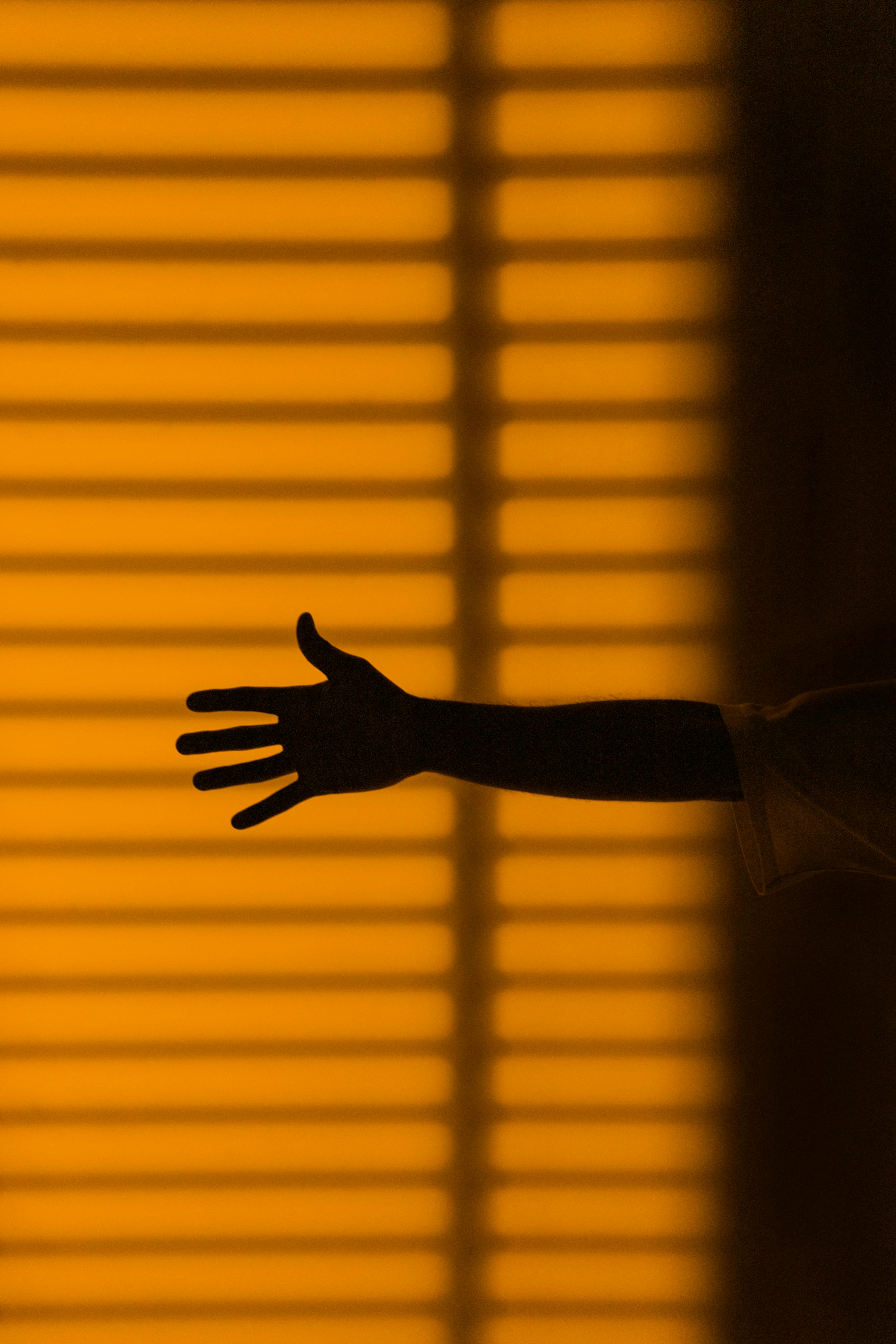 Hand Casting Shadow · Free Stock Photo