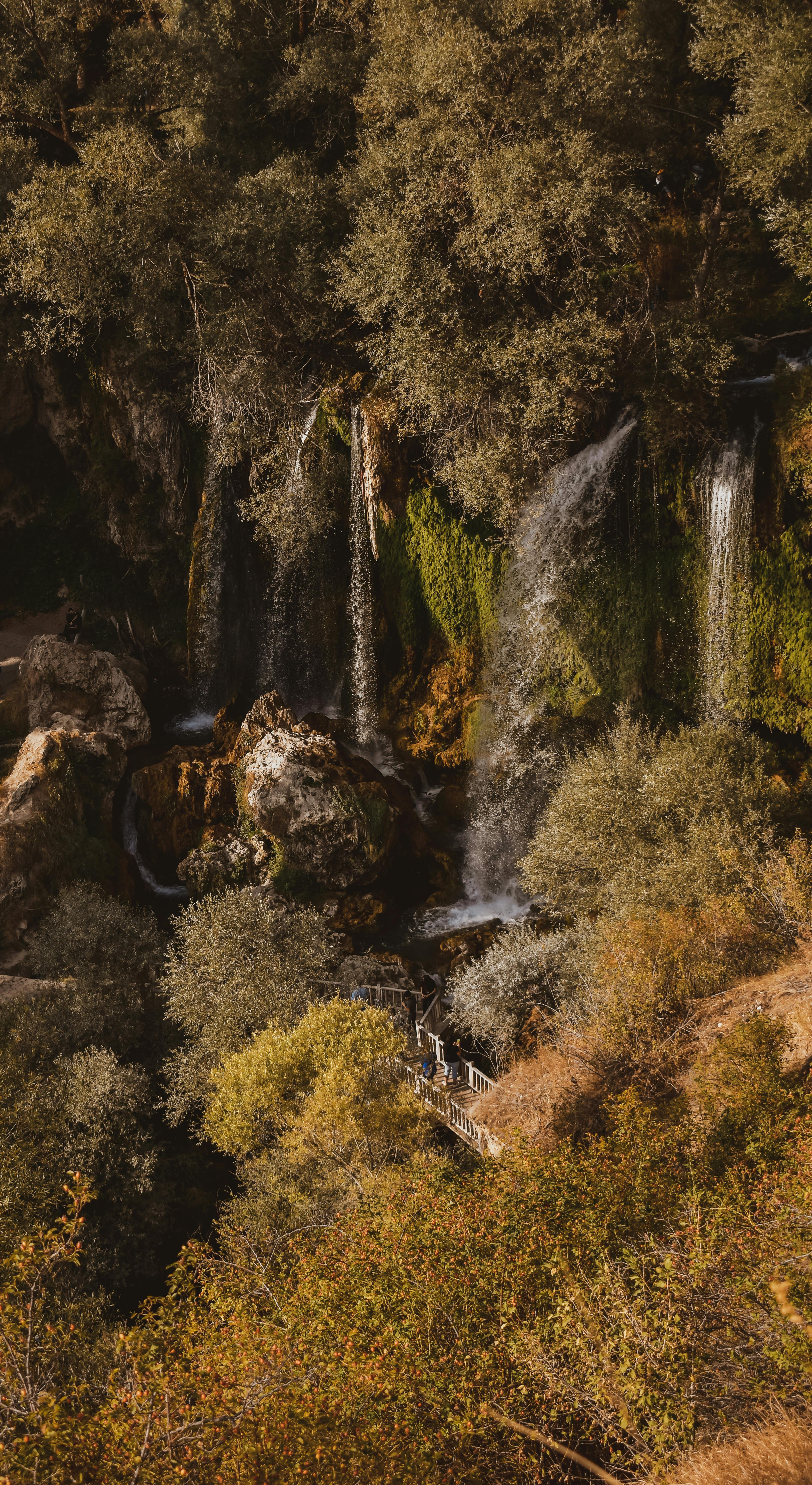 Waterfall in Autumn Forest · Free Stock Photo