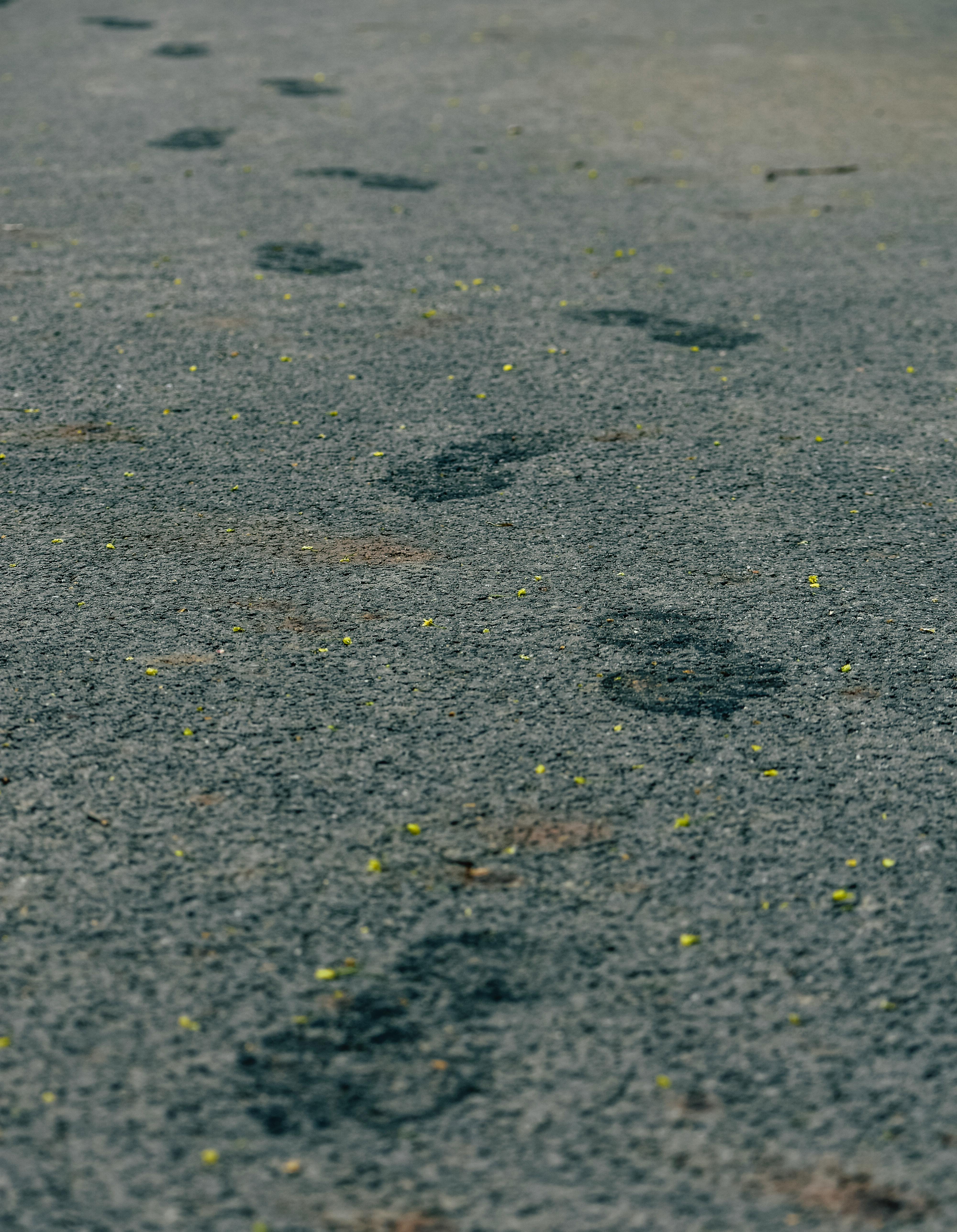 Footsteps on Concrete Floor · Free Stock Photo