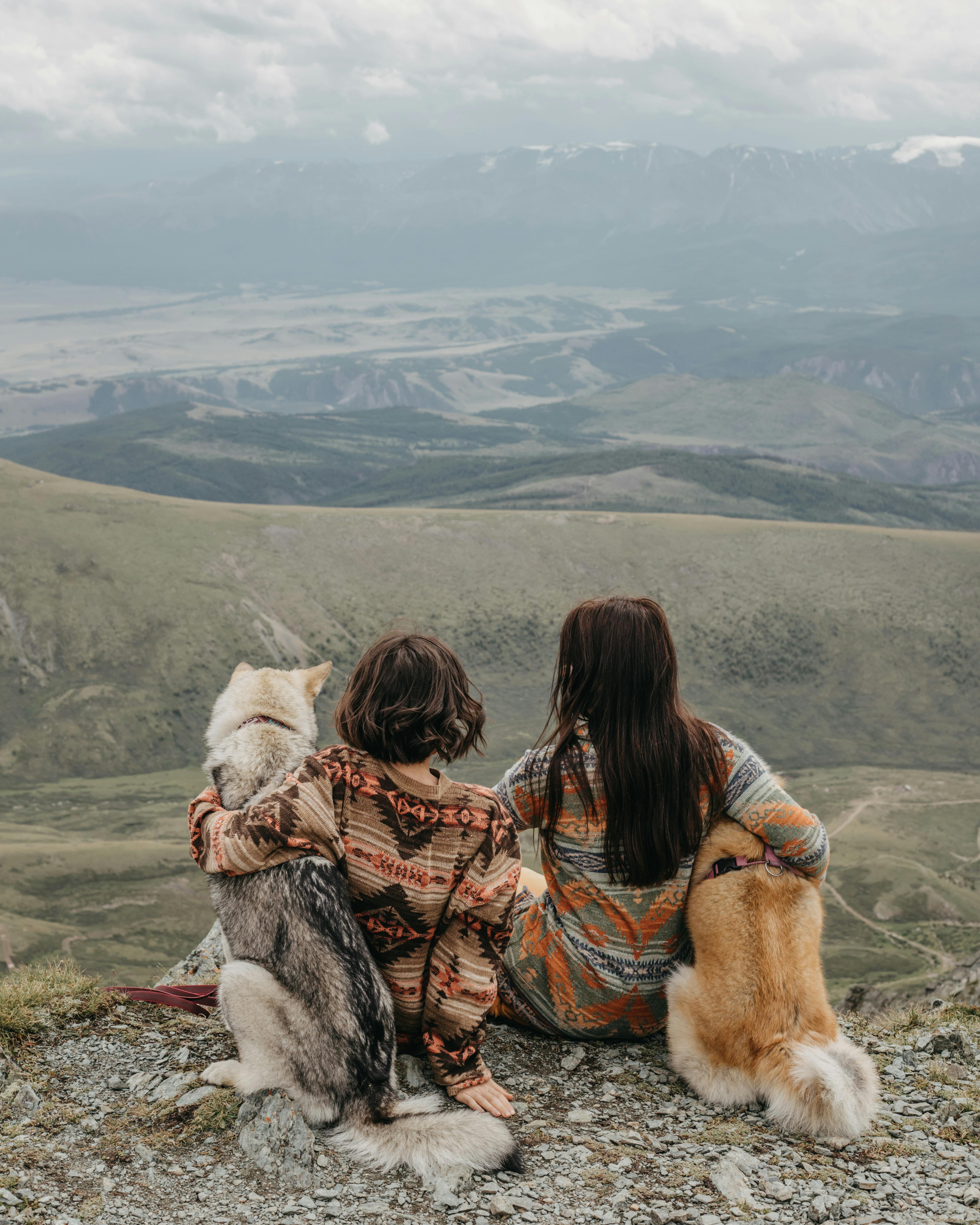 Rear View Sitting Dogs Photos, Download The BEST Free Rear View Sitting ...