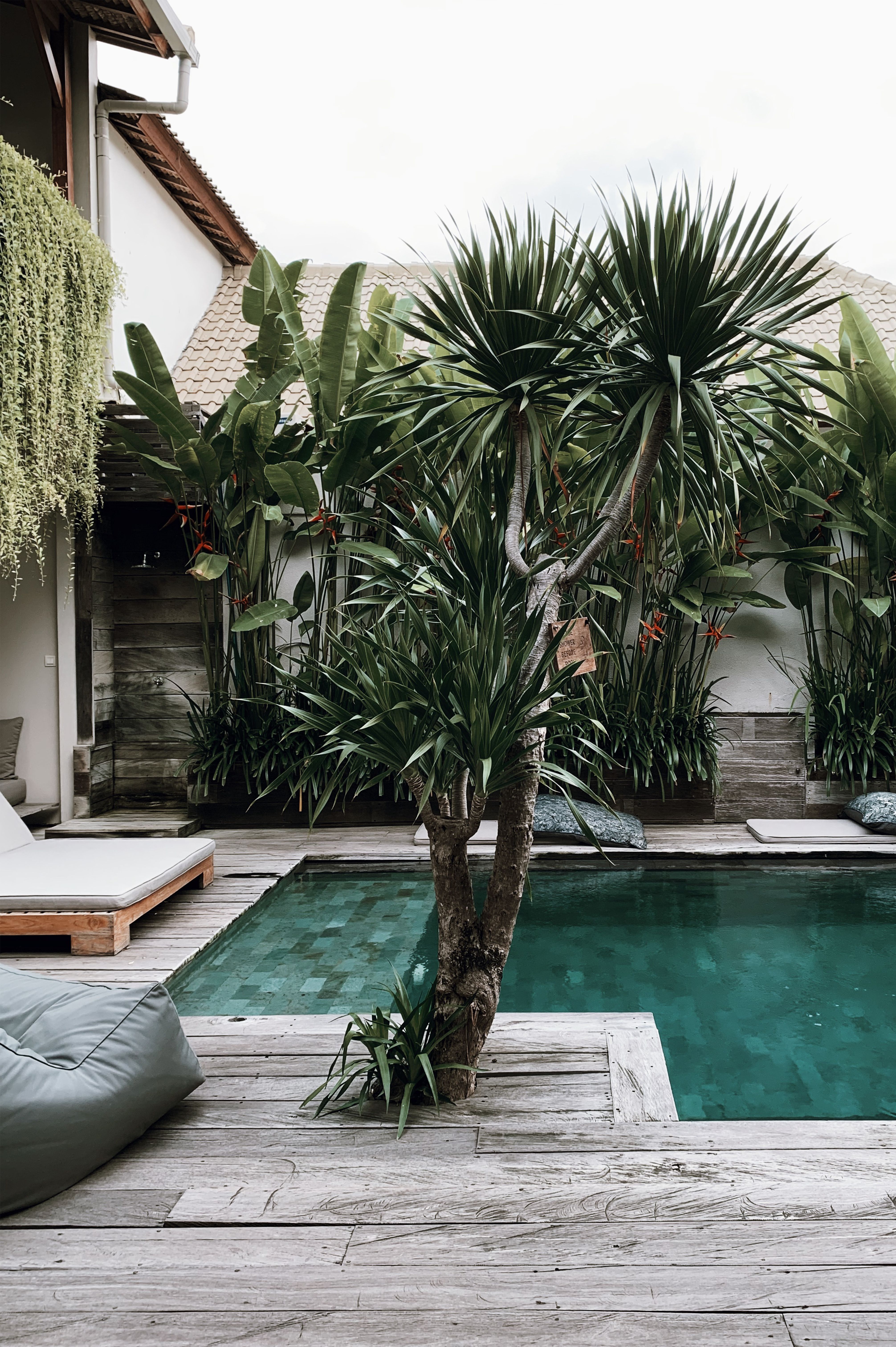 Calming Oasis Photos, Download The BEST Free Calming Oasis Stock Photos ...