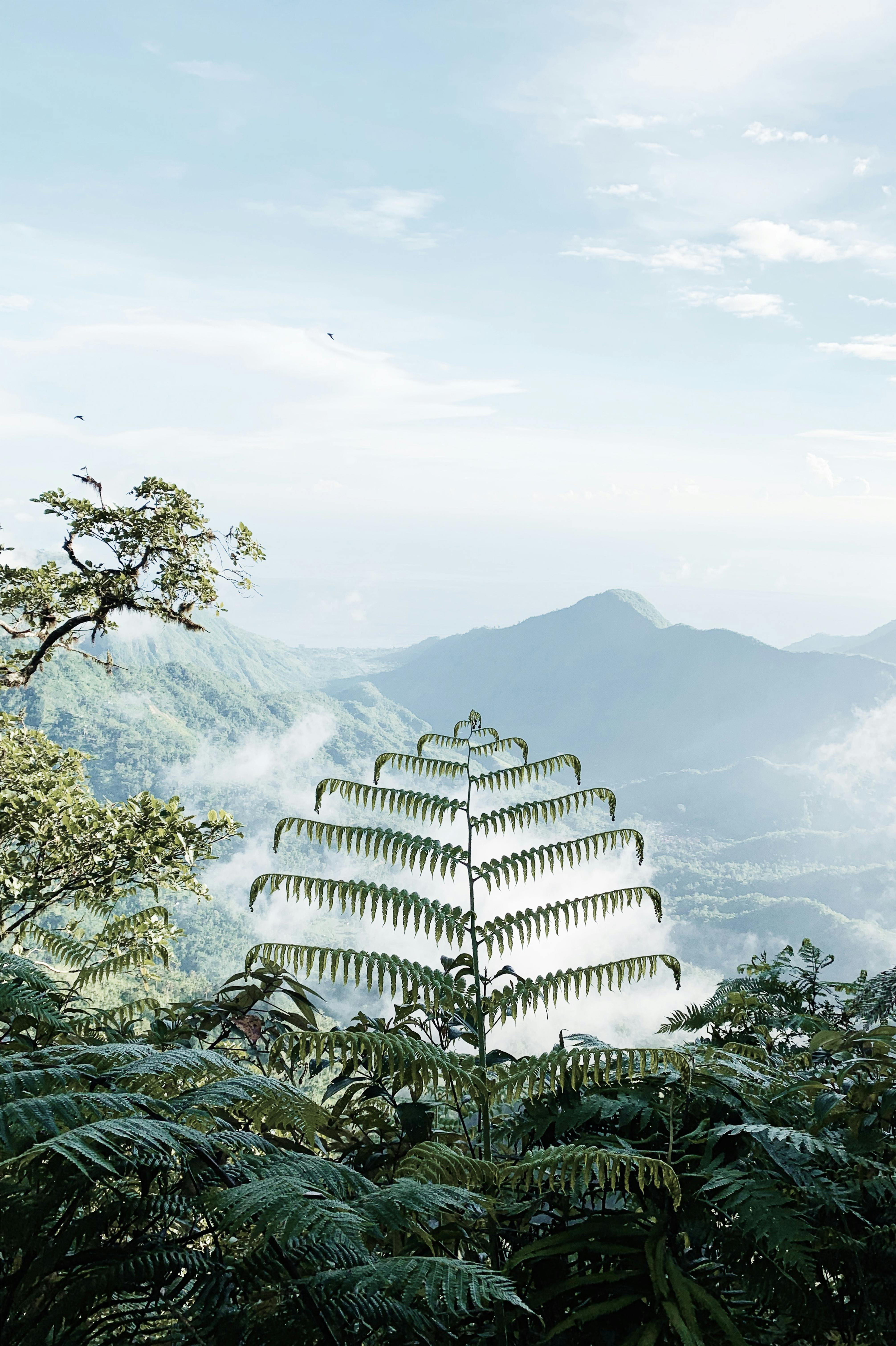 Auction Background Photos, Download The BEST Free Auction Background ...