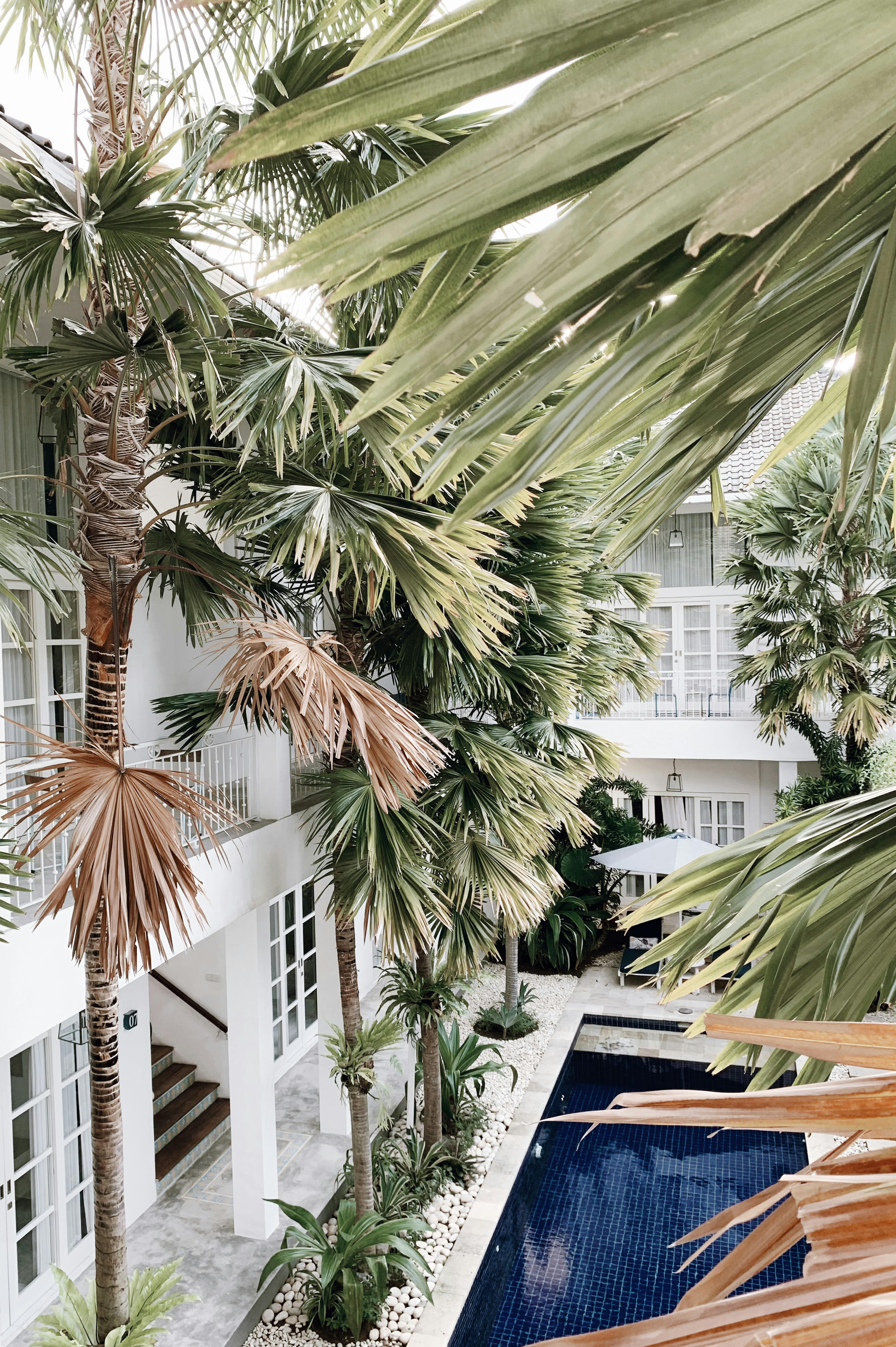 Tropical Hideaway Photos, Download The BEST Free Tropical Hideaway ...