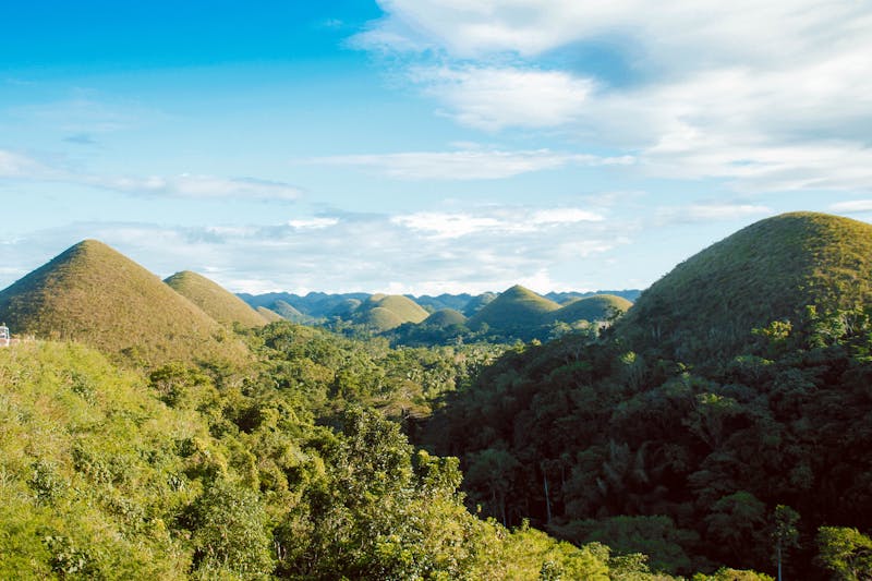 Bohol's Bamboo Hanging Bridge awaits your visit - RichestPH