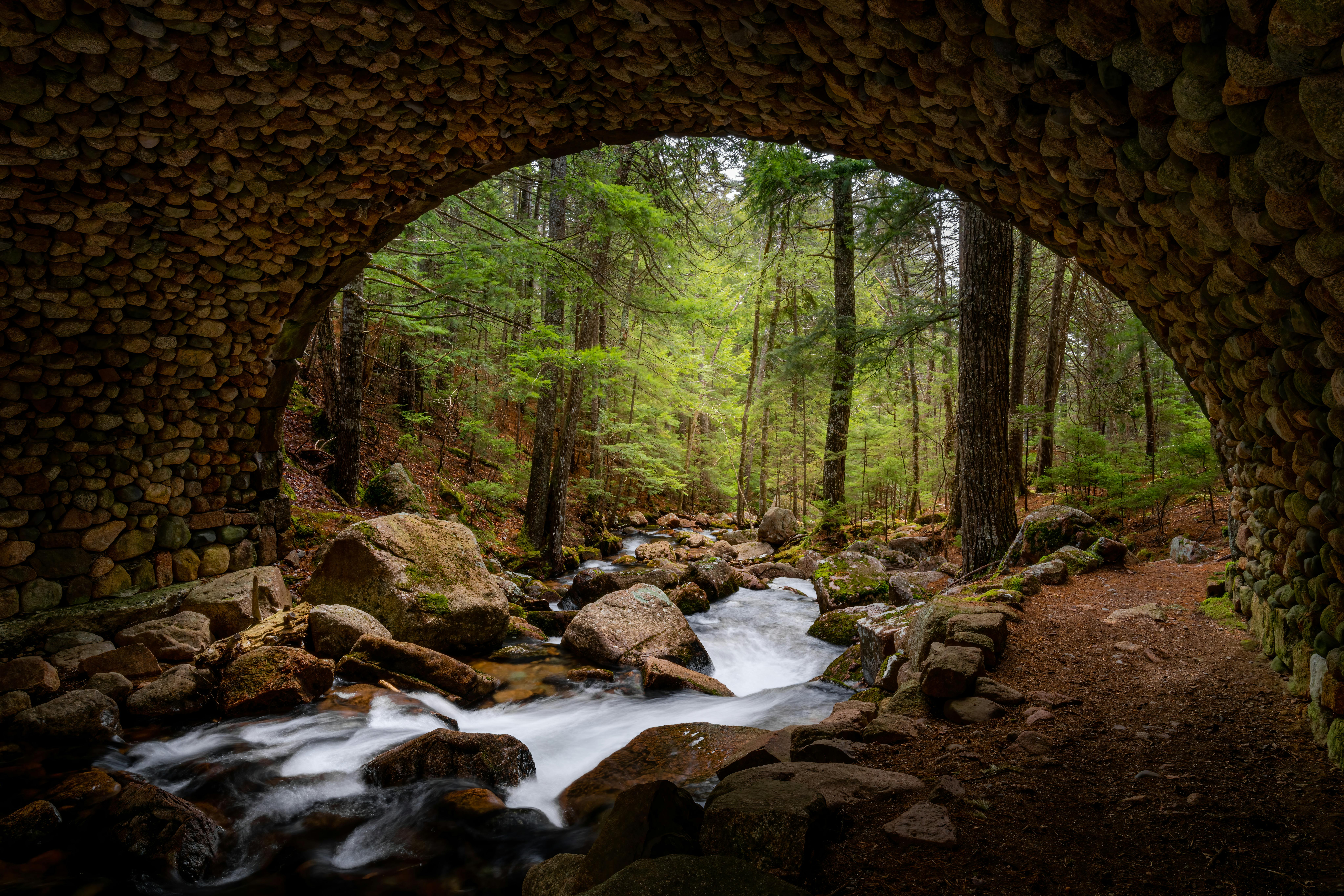 Stone Arch Landscape Forest Photos, Download The BEST Free Stone Arch ...