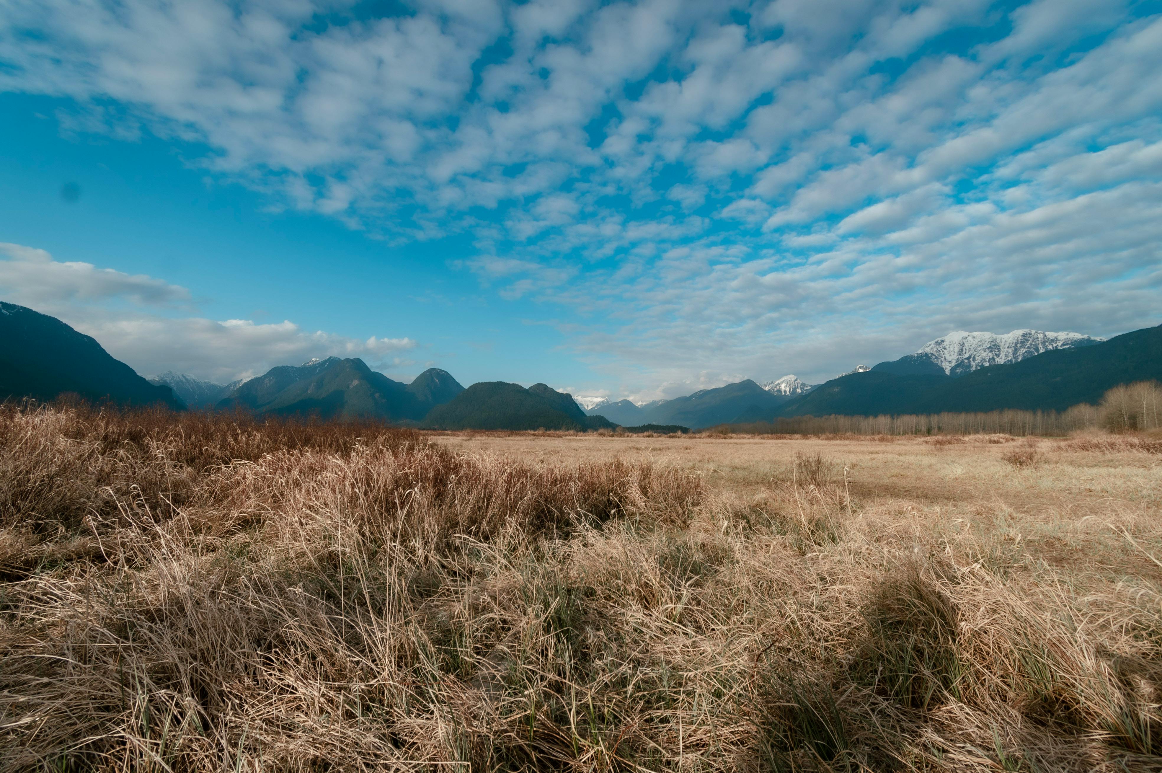 Brown Grass Field in the Valley · Free Stock Photo