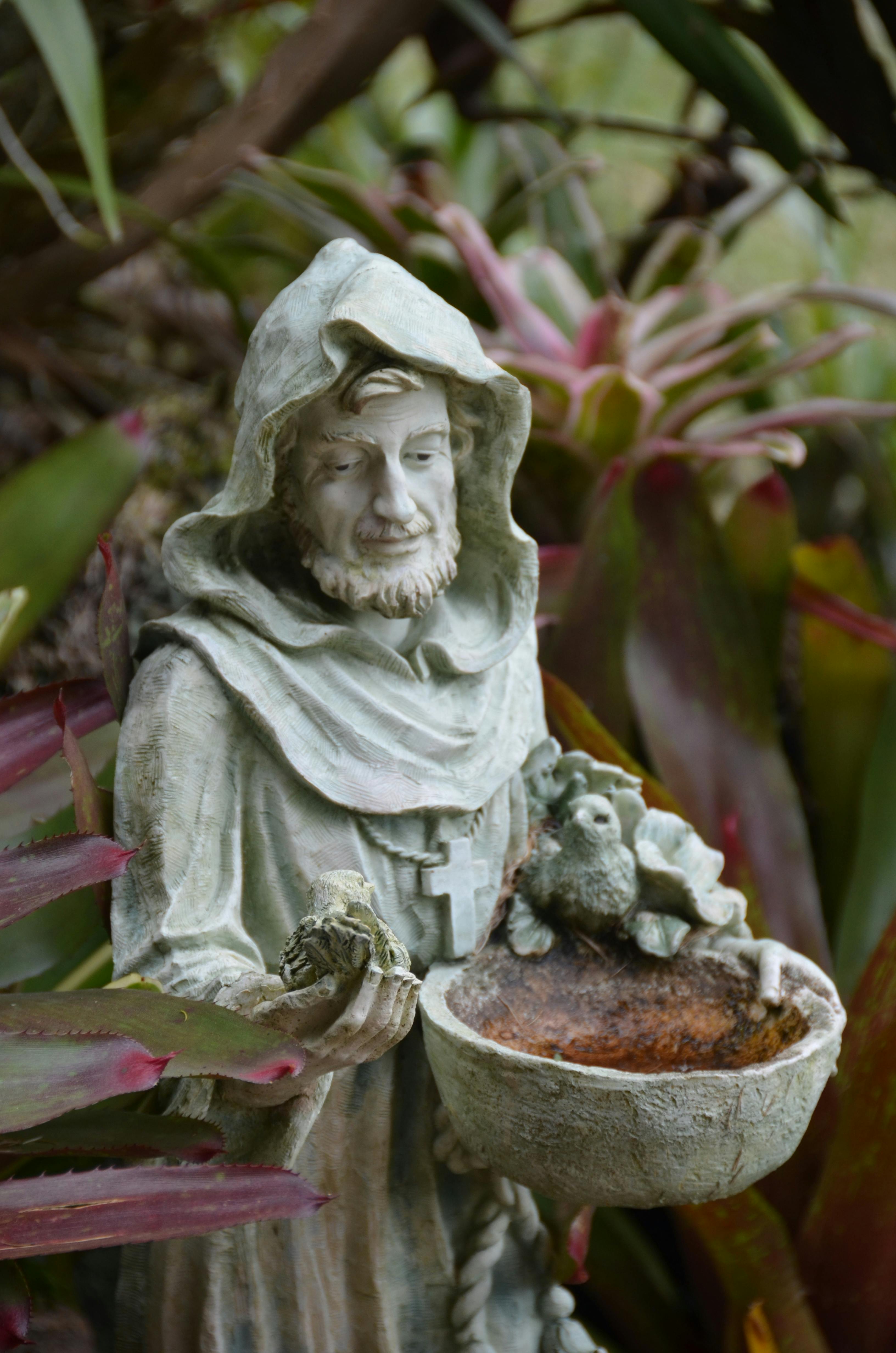Saint Francis Bird Feeder Statue · Free Stock Photo
