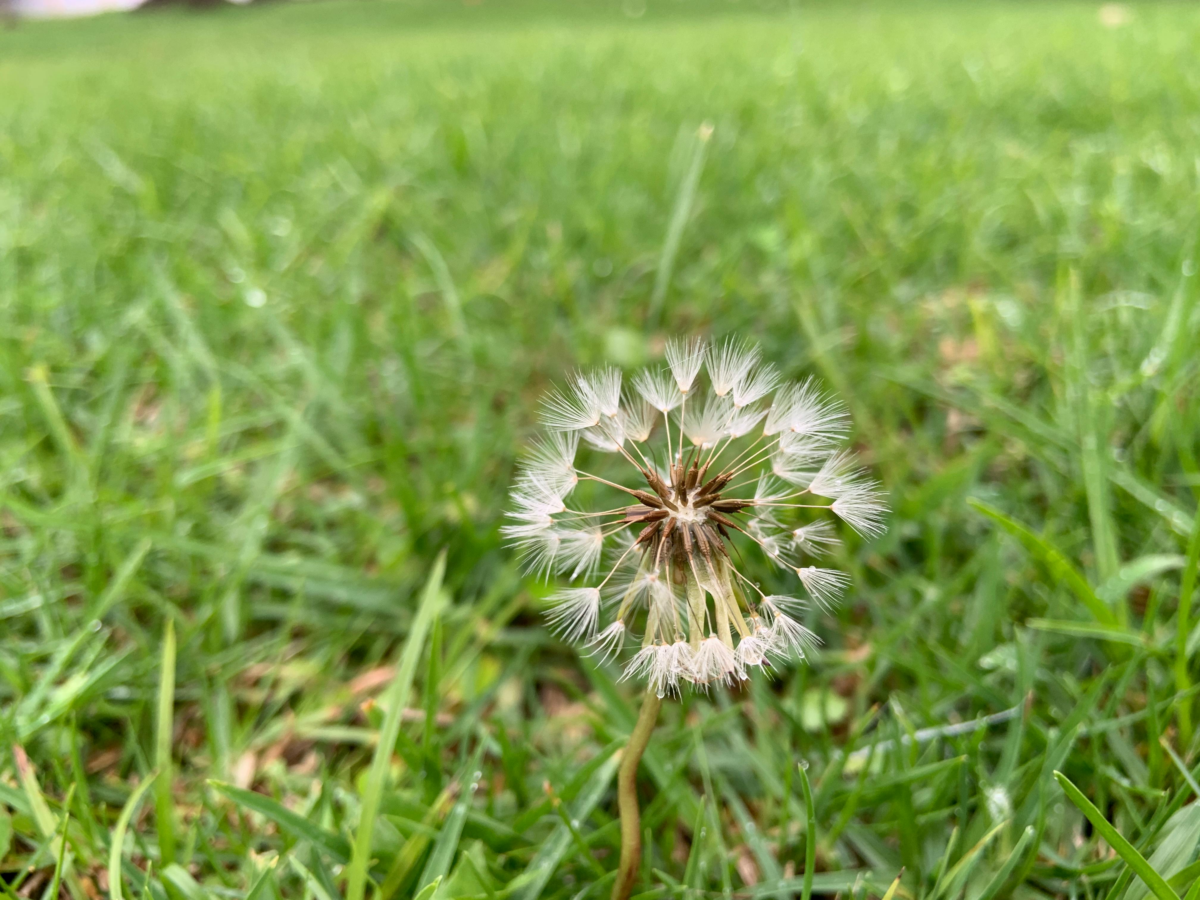 A.Vasantha Kumar - 摄影