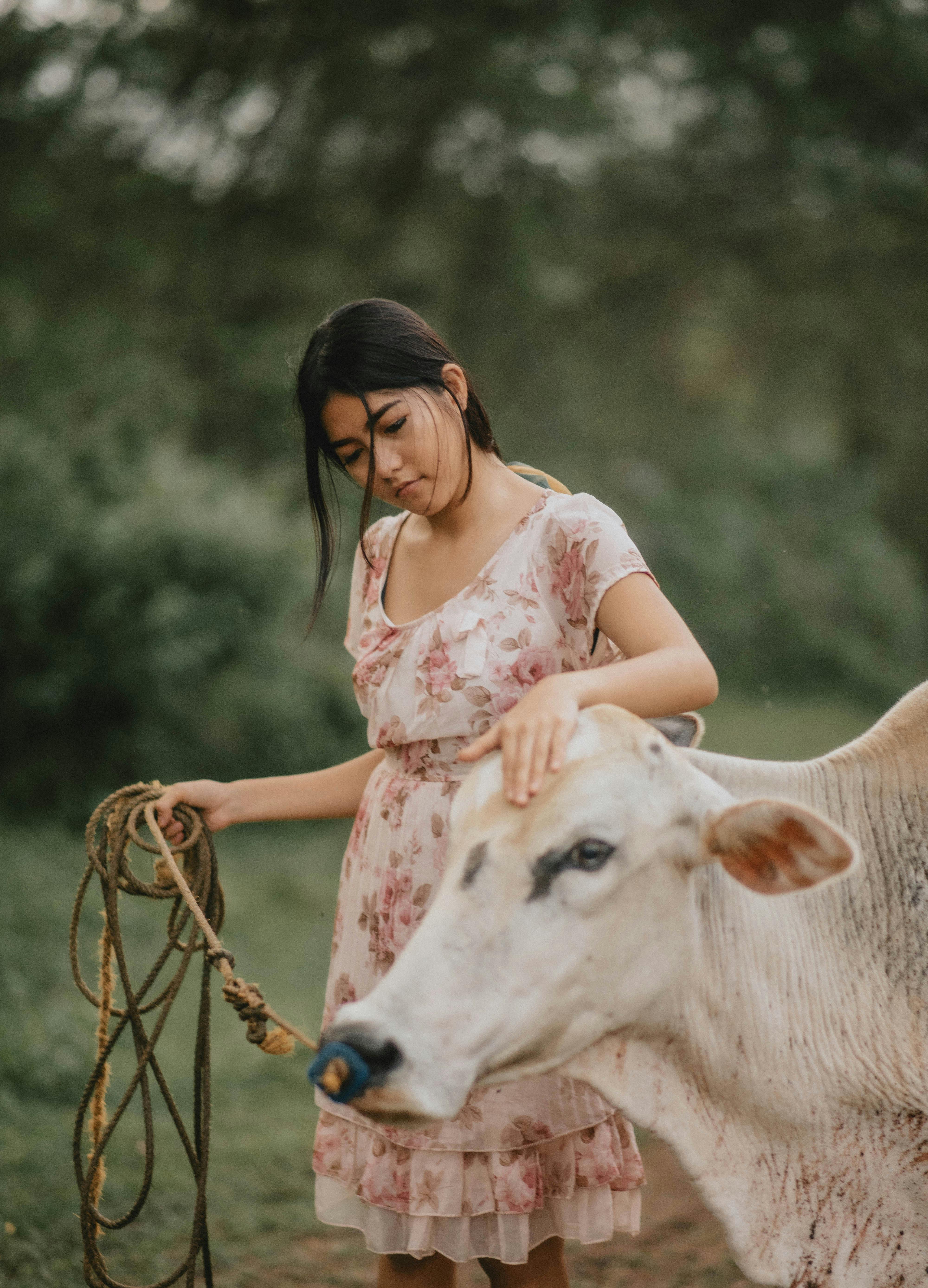 A Woman in Floral Dress Holding the Rope of the Cow · Free Stock Photo