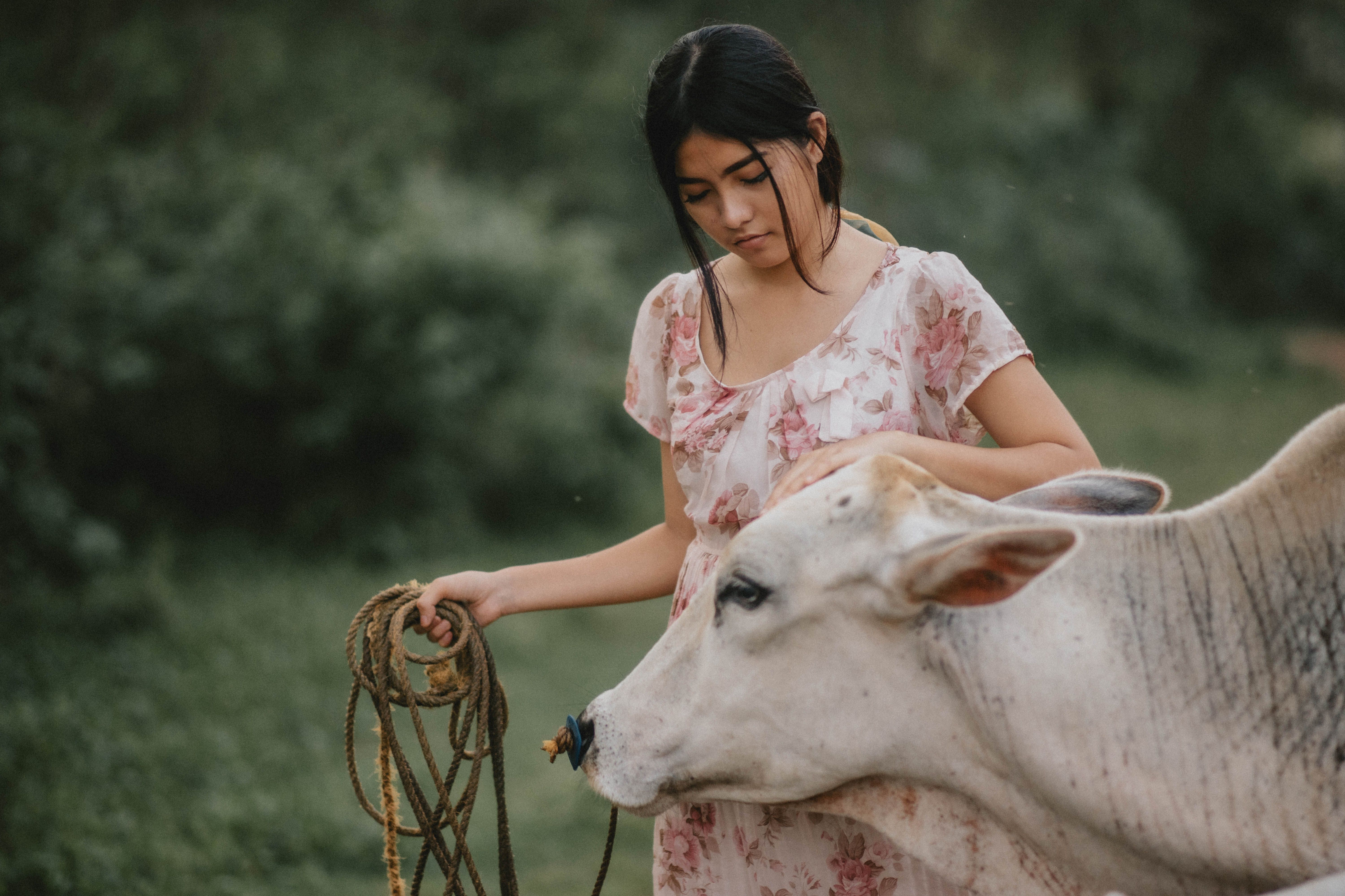 A Woman Touching the Cow's Head · Free Stock Photo