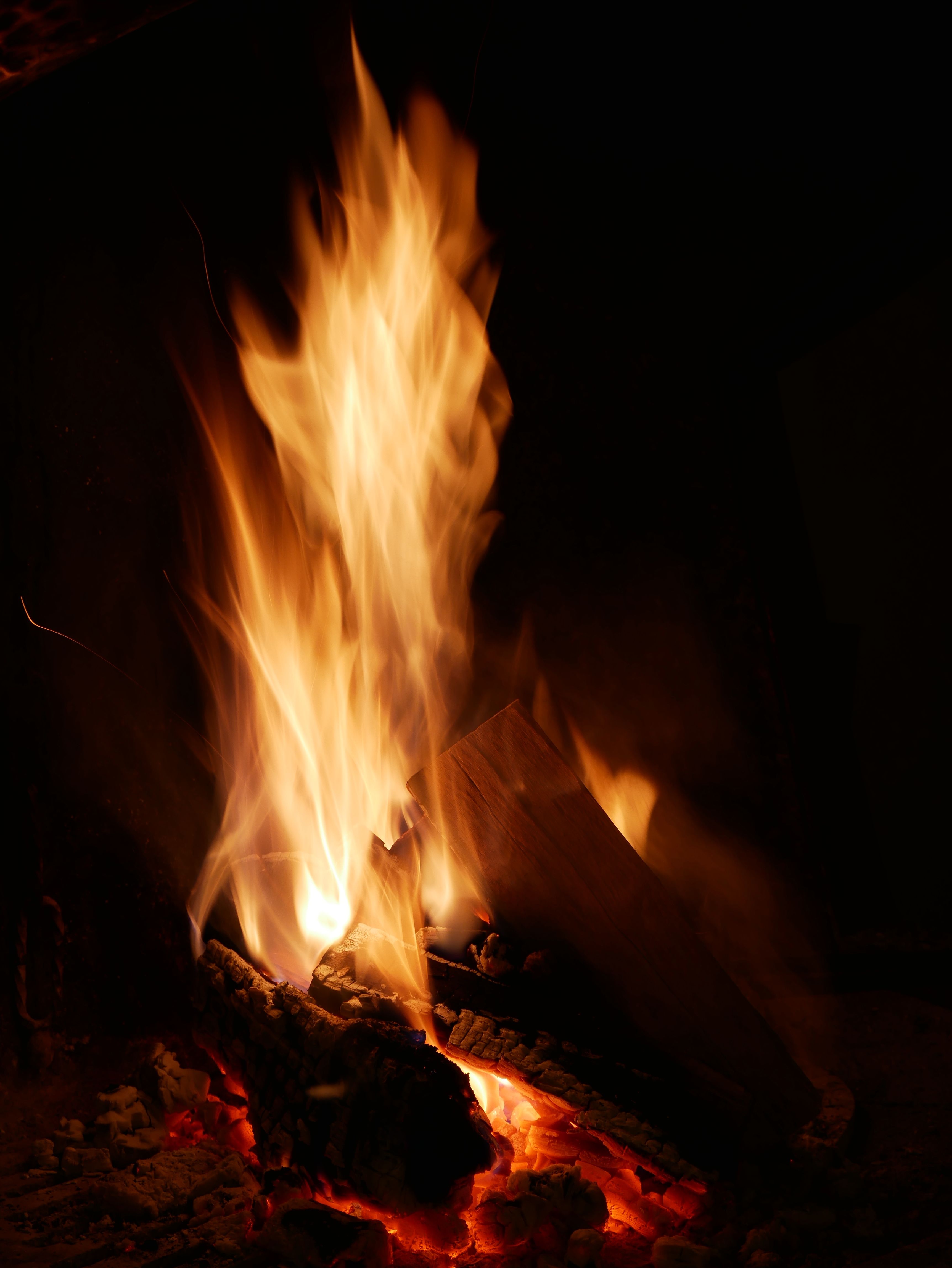 Campfire Along the River with Trees · Free Stock Photo
