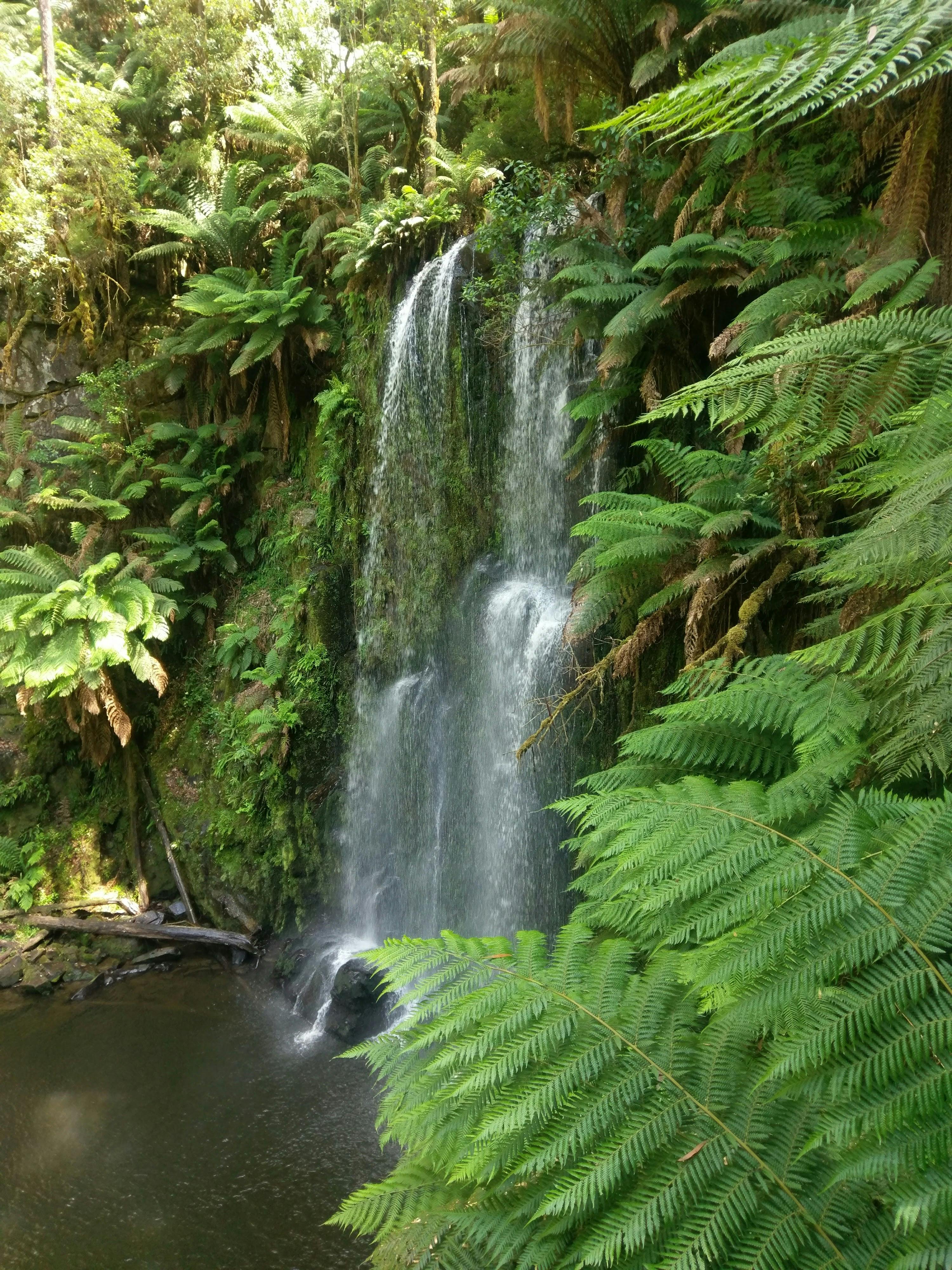 Robyn Mather - Photography