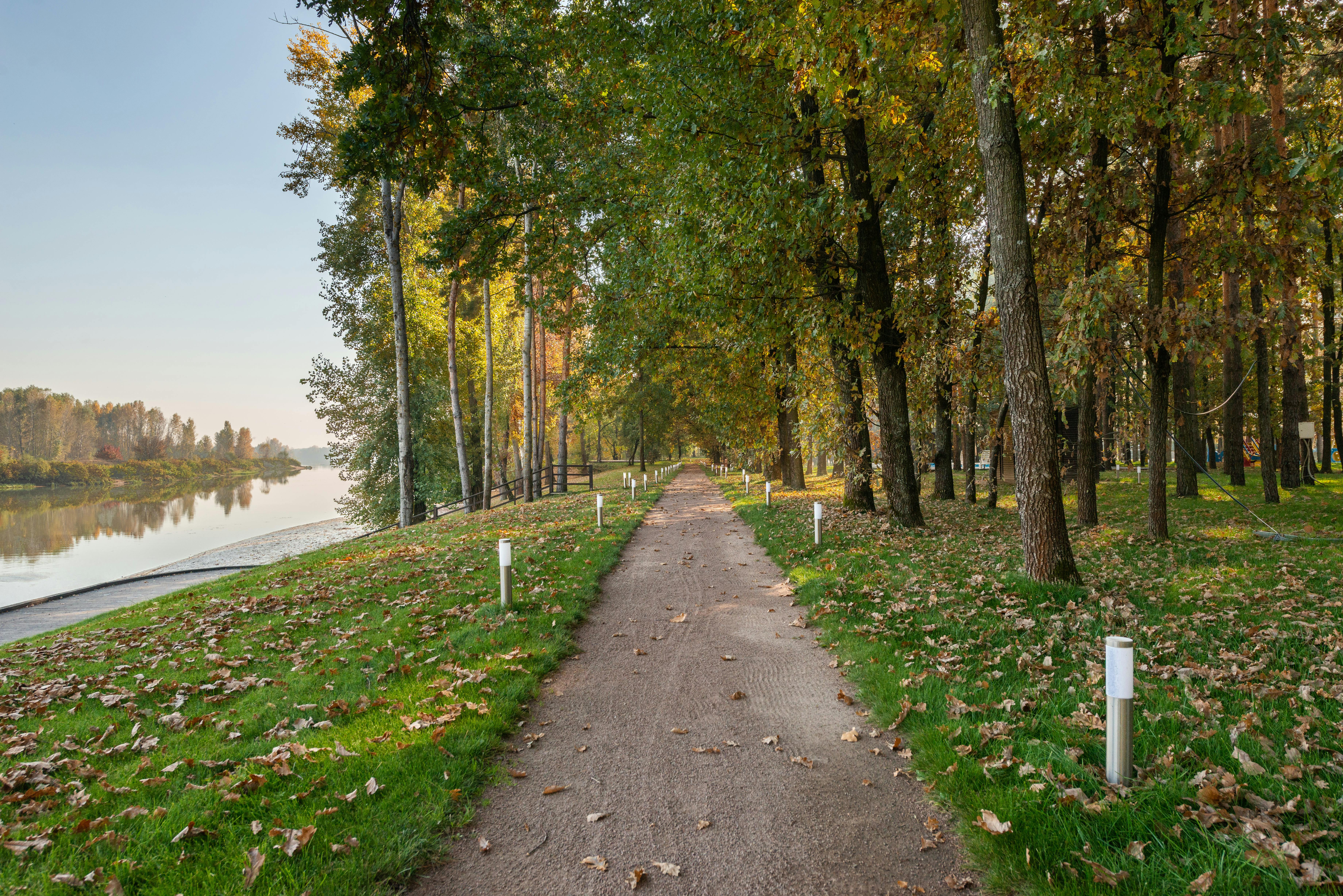 Path, Forest and a River on the Side · Free Stock Photo