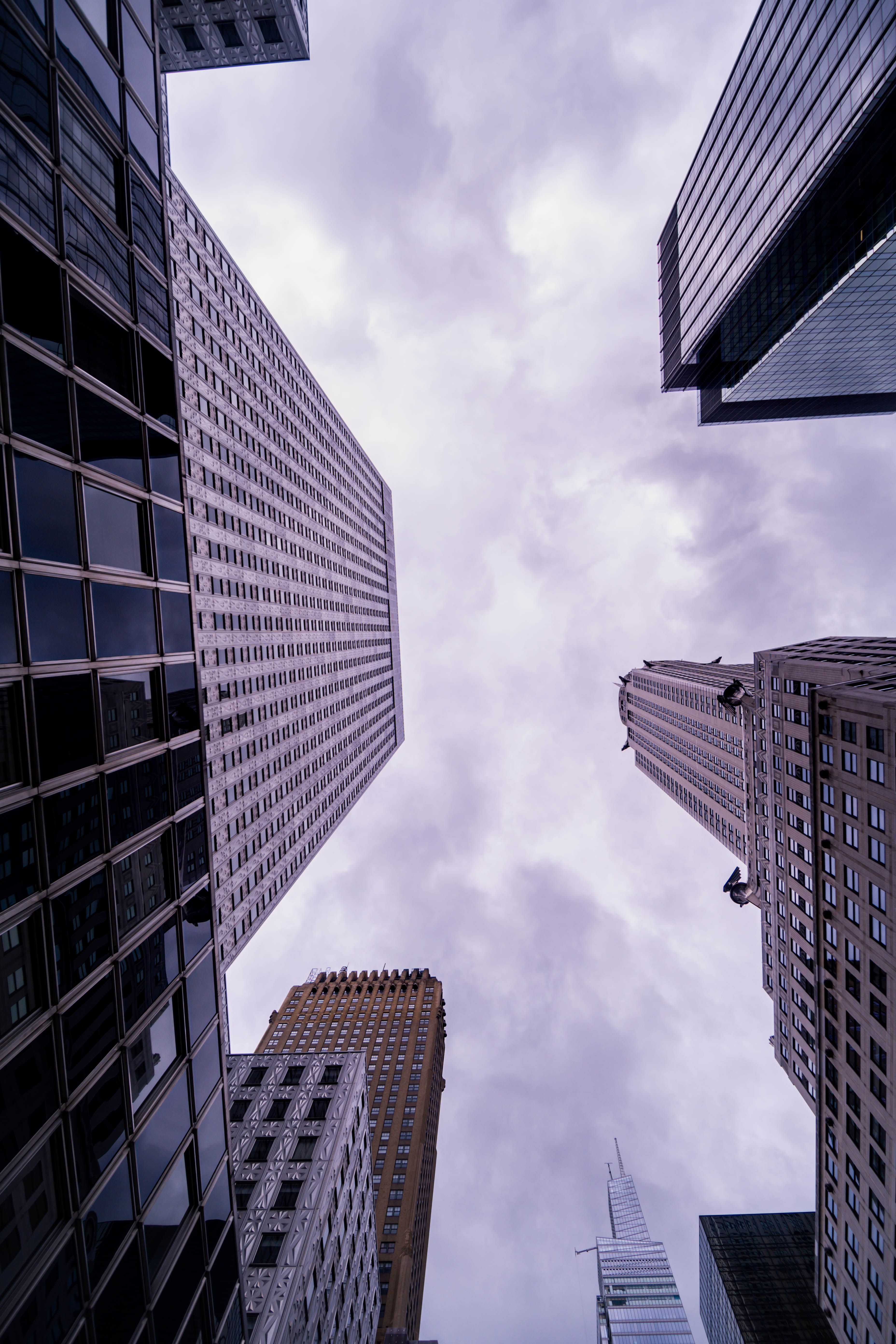 Low Angle Shot of Skyscrapers · Free Stock Photo