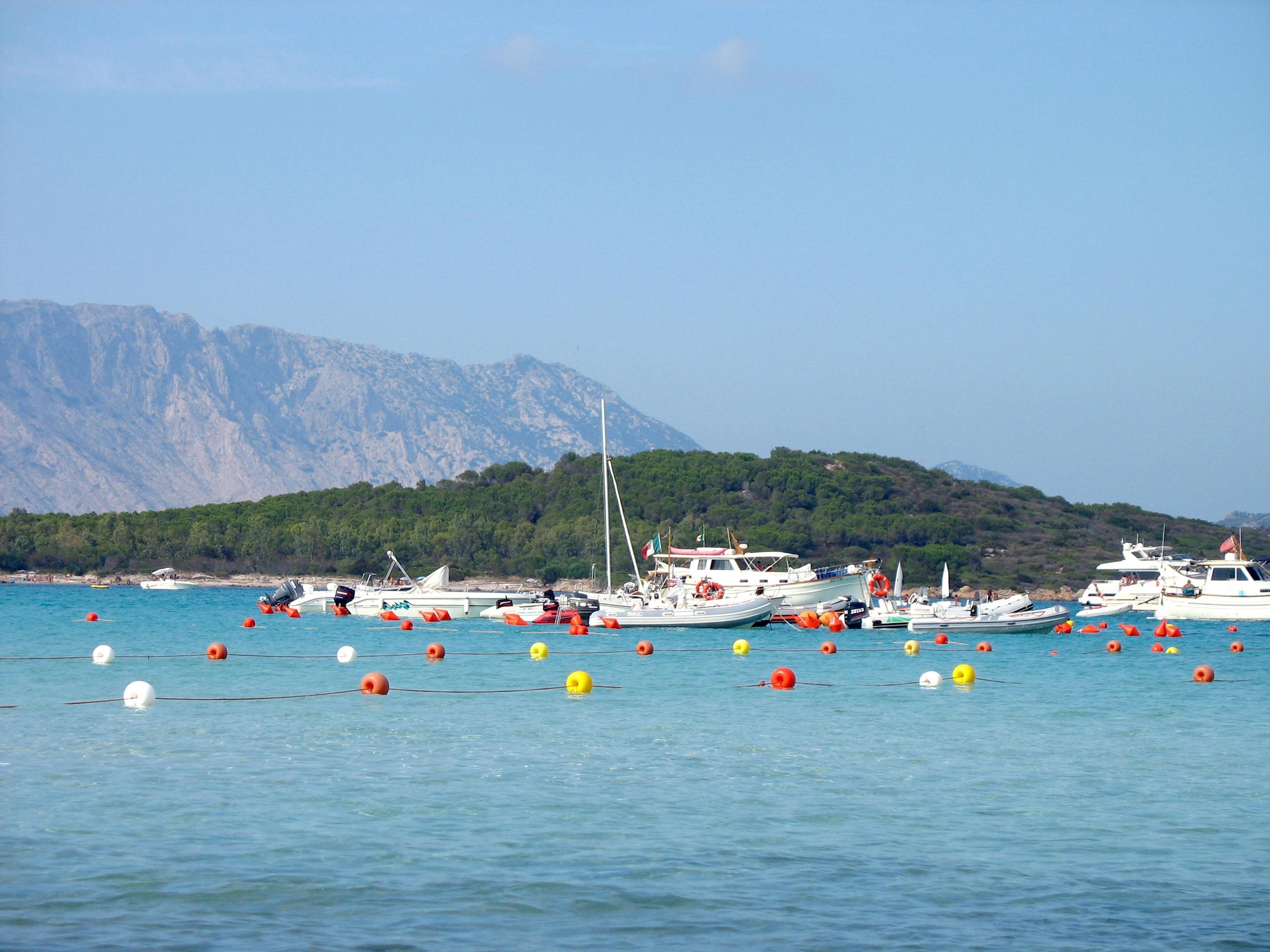 Sea Floaters Photos, Download The BEST Free Sea Floaters Stock Photos ...