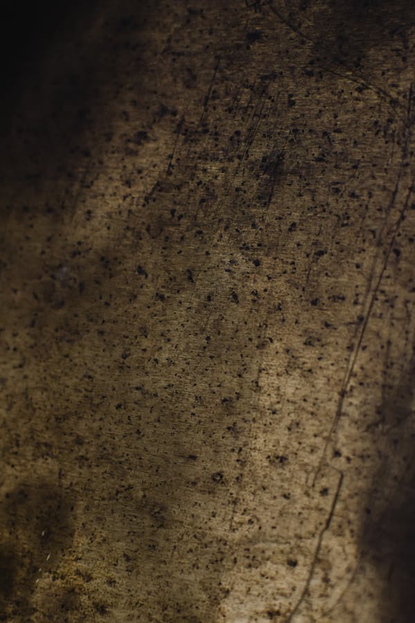 Pexels Texture Photos, Download Free Pexels Texture Stock Photos & HD ...