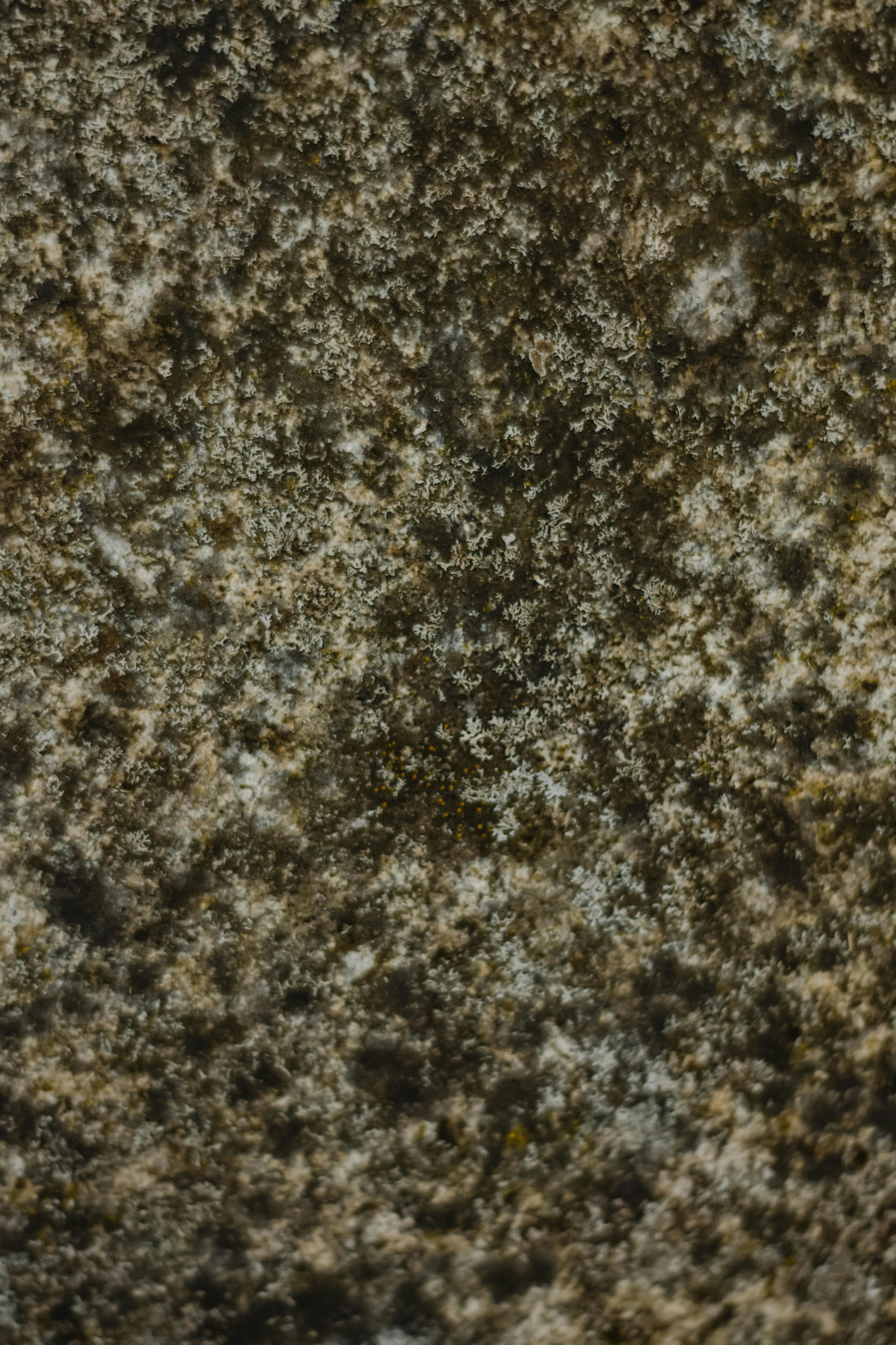 A Brown nd Black Rough Surface in Close-up Shot · Free Stock Photo