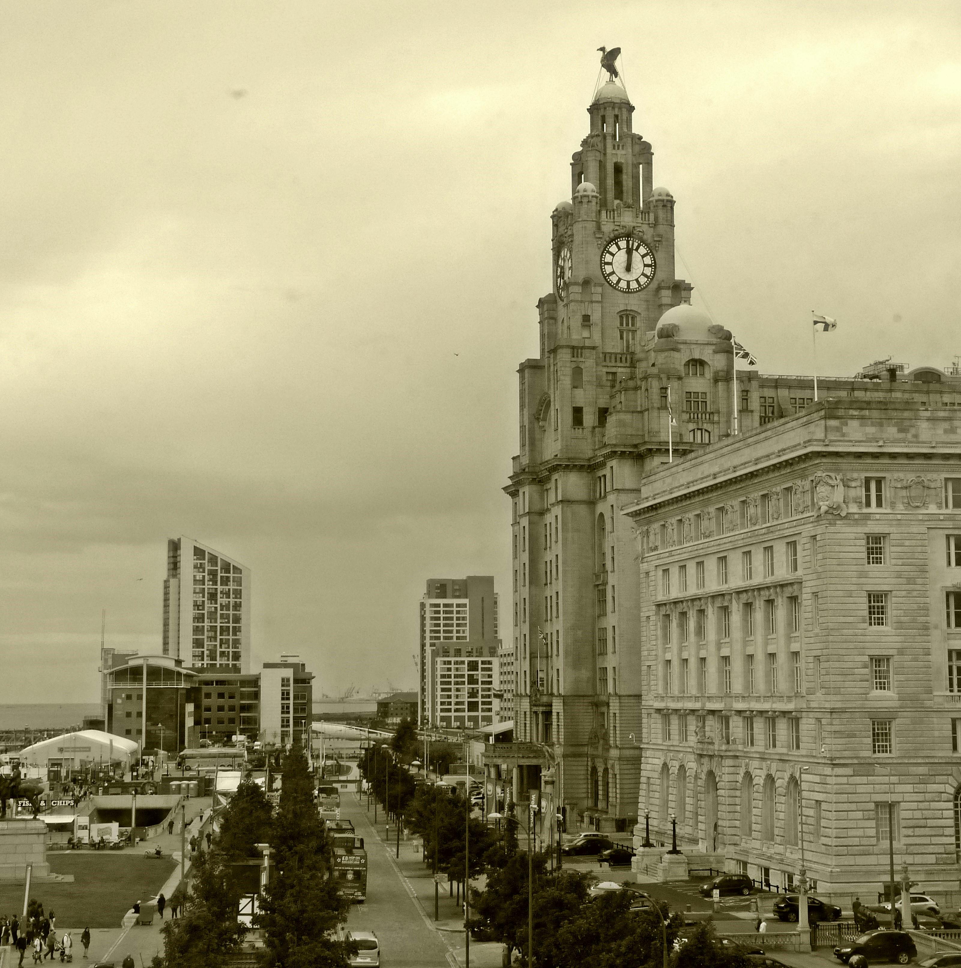 Lyn Scott – фотографія