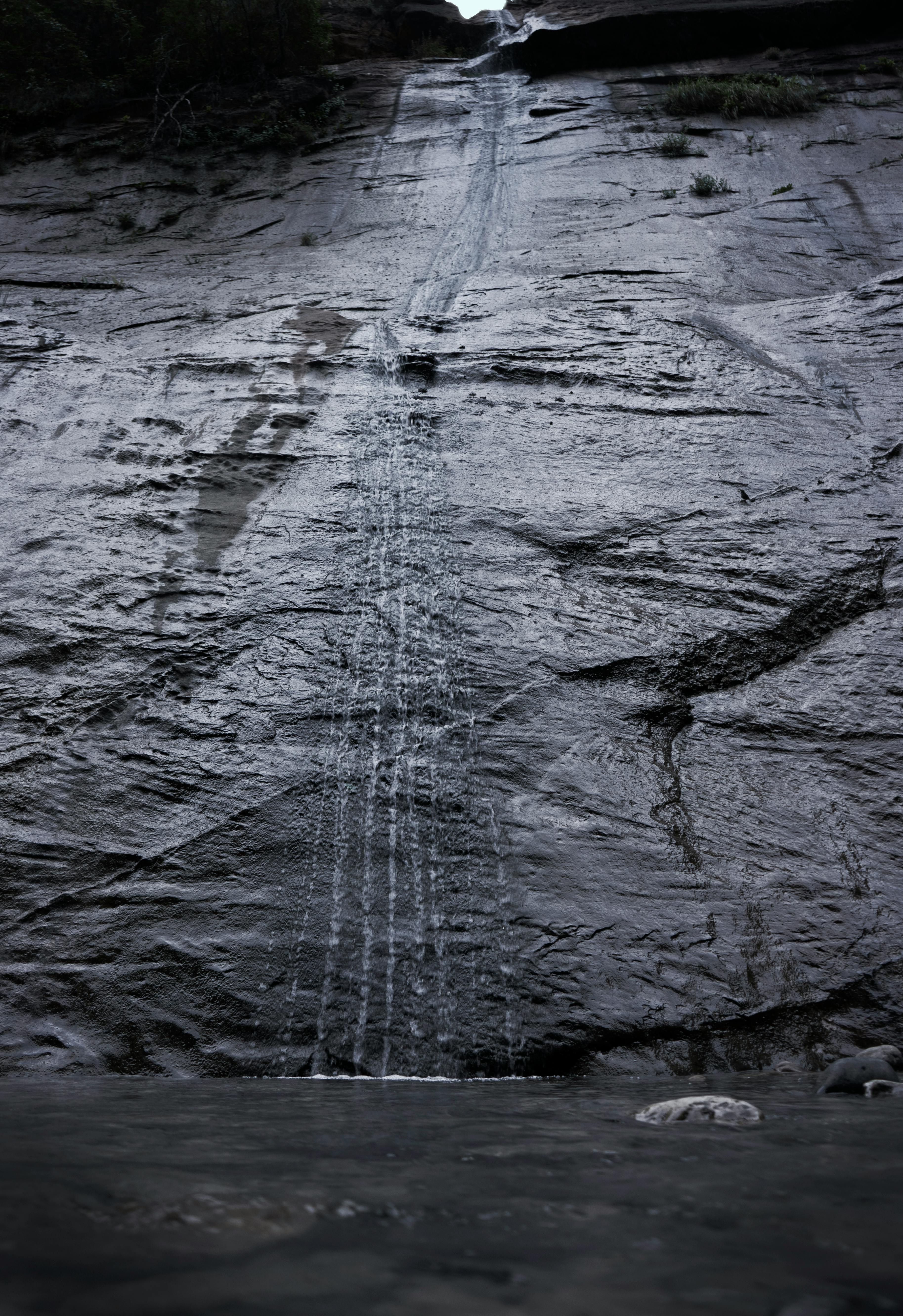 Verticle Photo Photos, Download The BEST Free Verticle Photo Stock ...