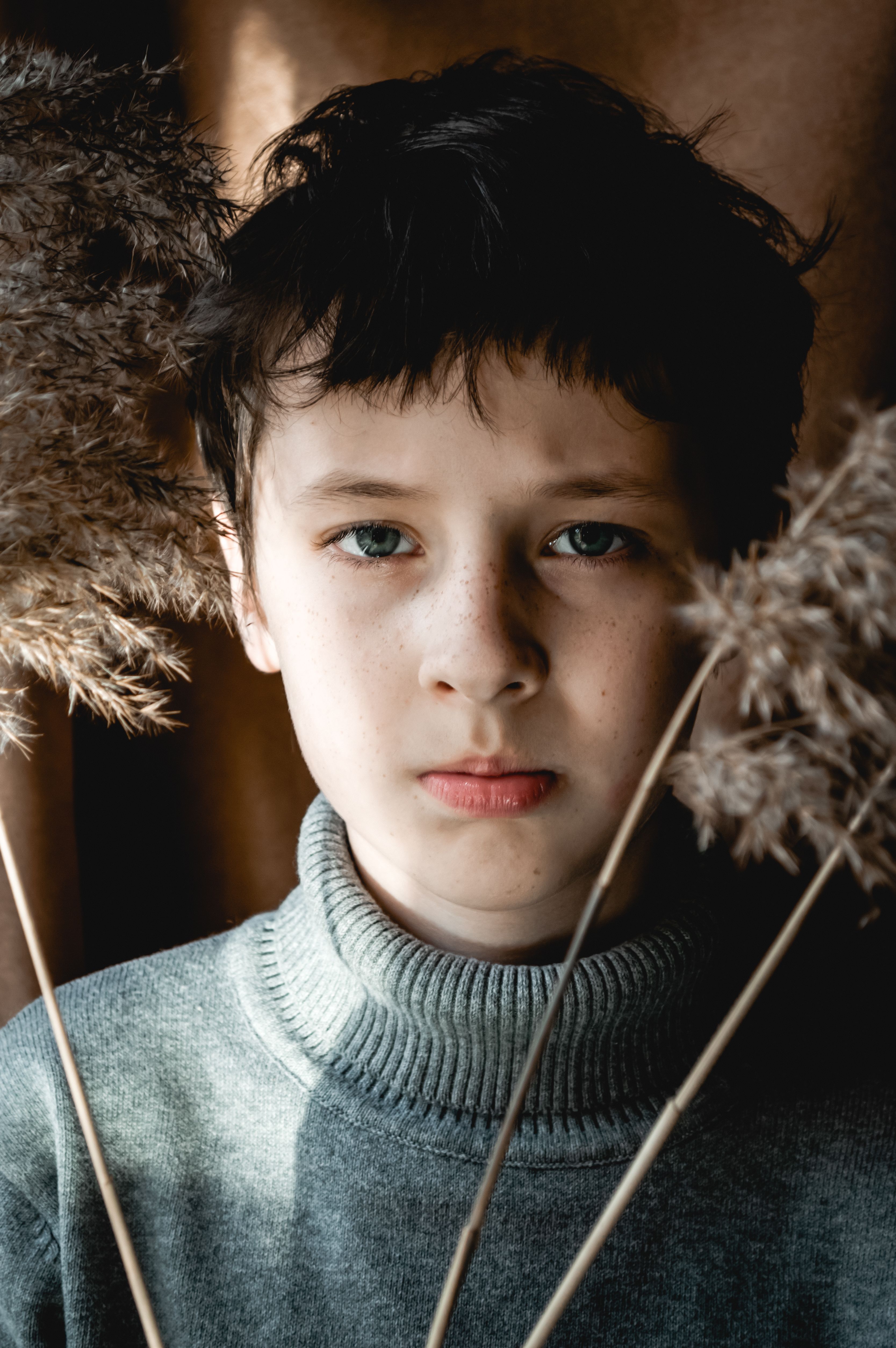 Calm boy with dried plants in room · Free Stock Photo