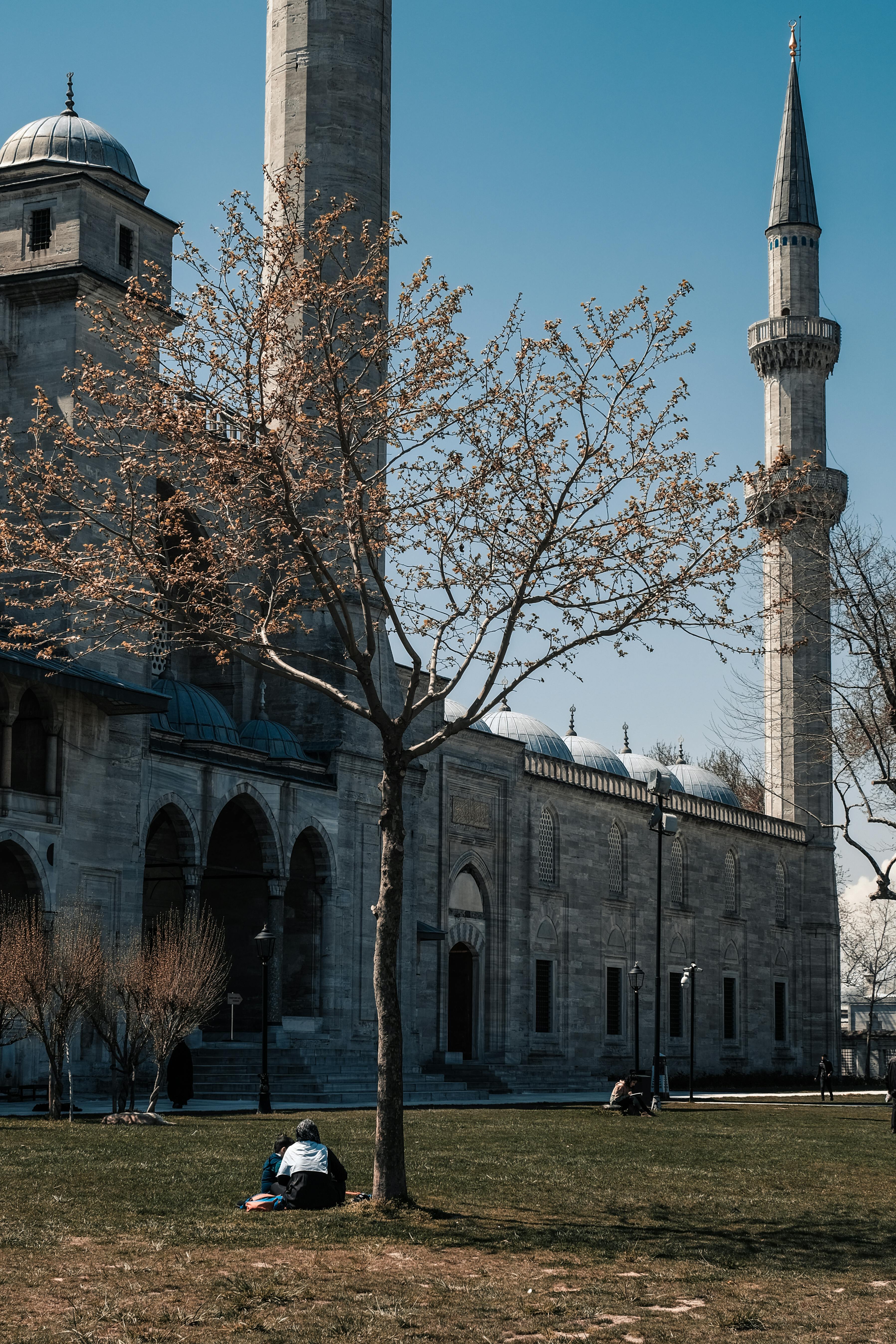 Trees and Grass near Suleymaniye Mosque · Free Stock Photo