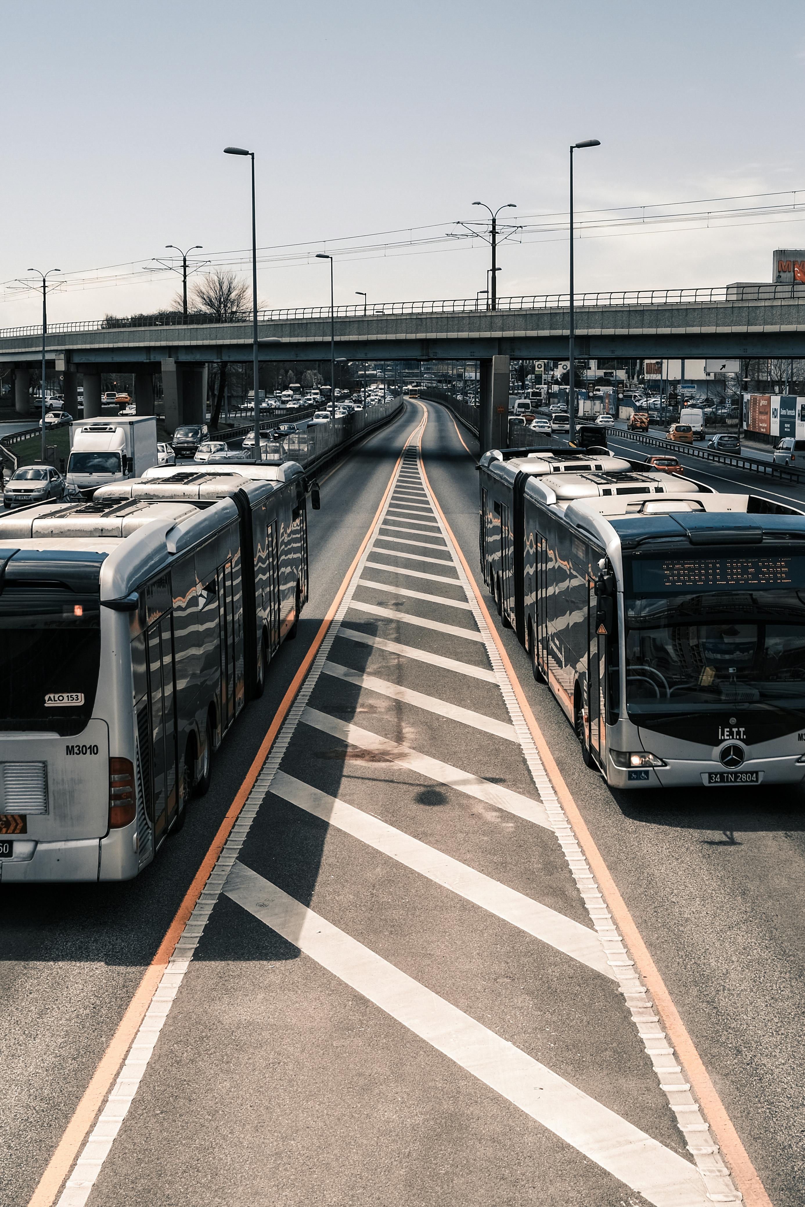 Buss Photos, Download The BEST Free Buss Stock Photos & HD Images