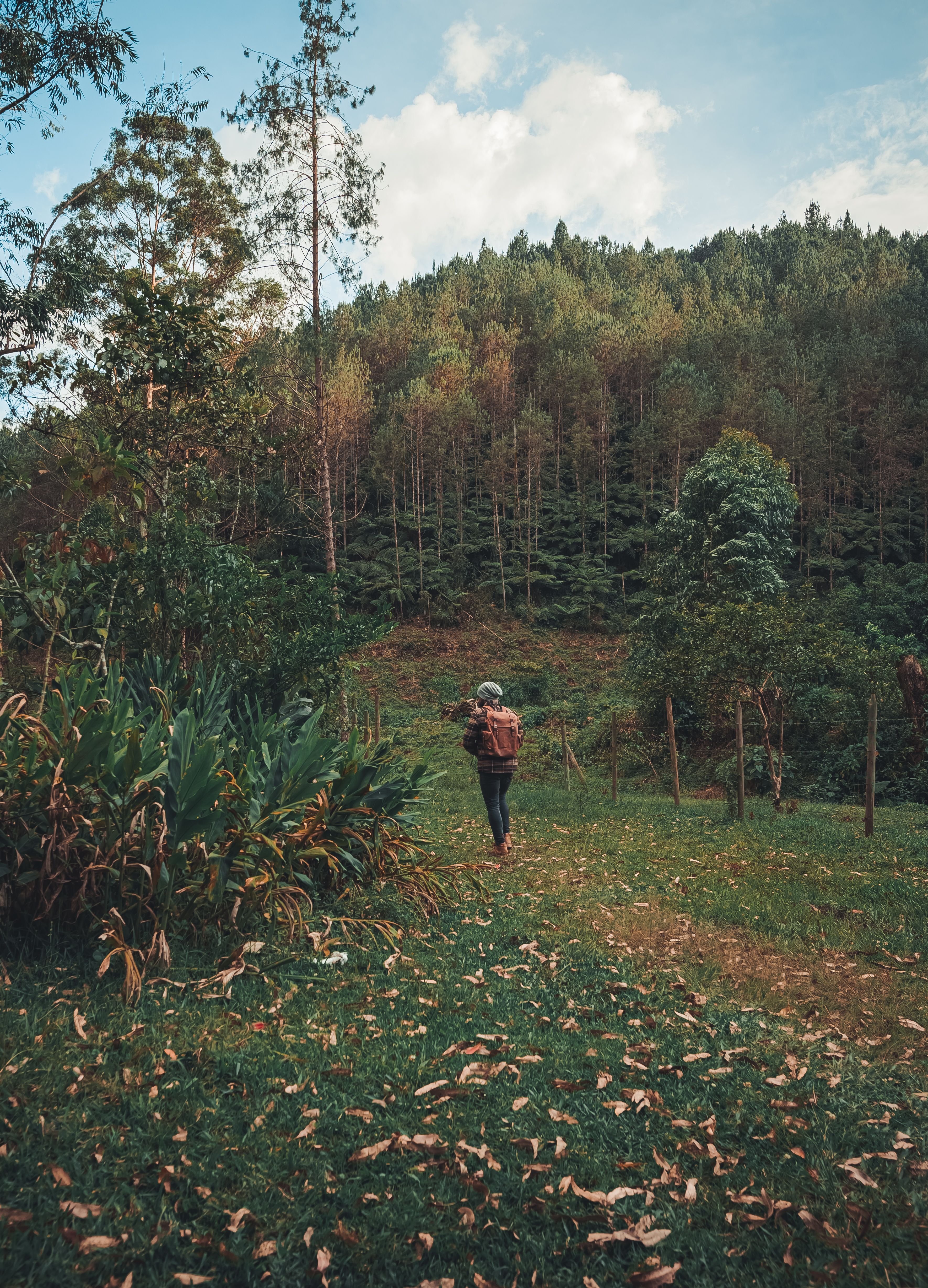A Person Walking with a Backpack · Free Stock Photo