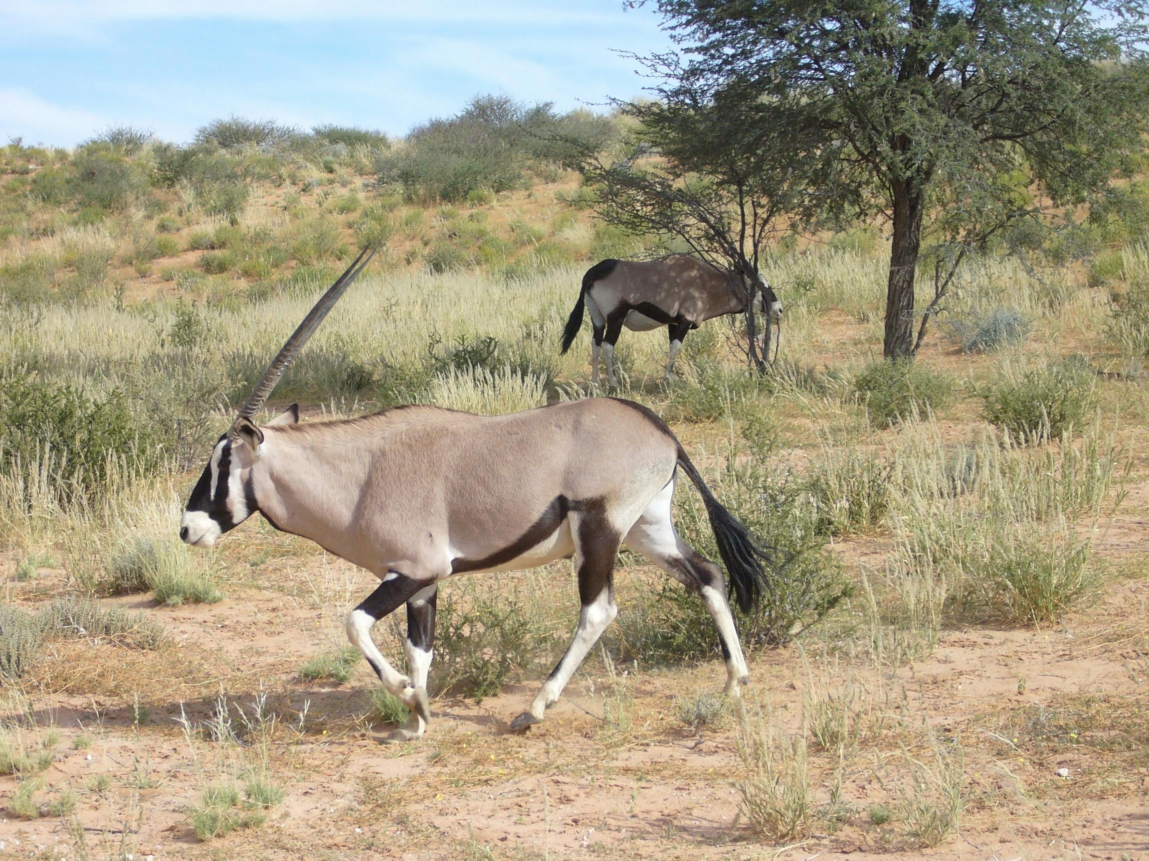 Photo gratuite de doigt de dieu, effondrement avant 1988, mukurob