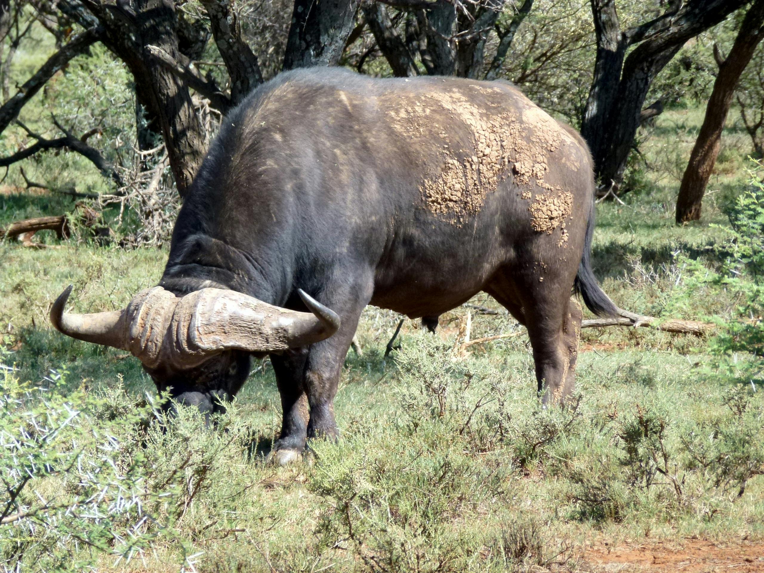 Photo gratuite de doigt de dieu, effondrement avant 1988, mukurob