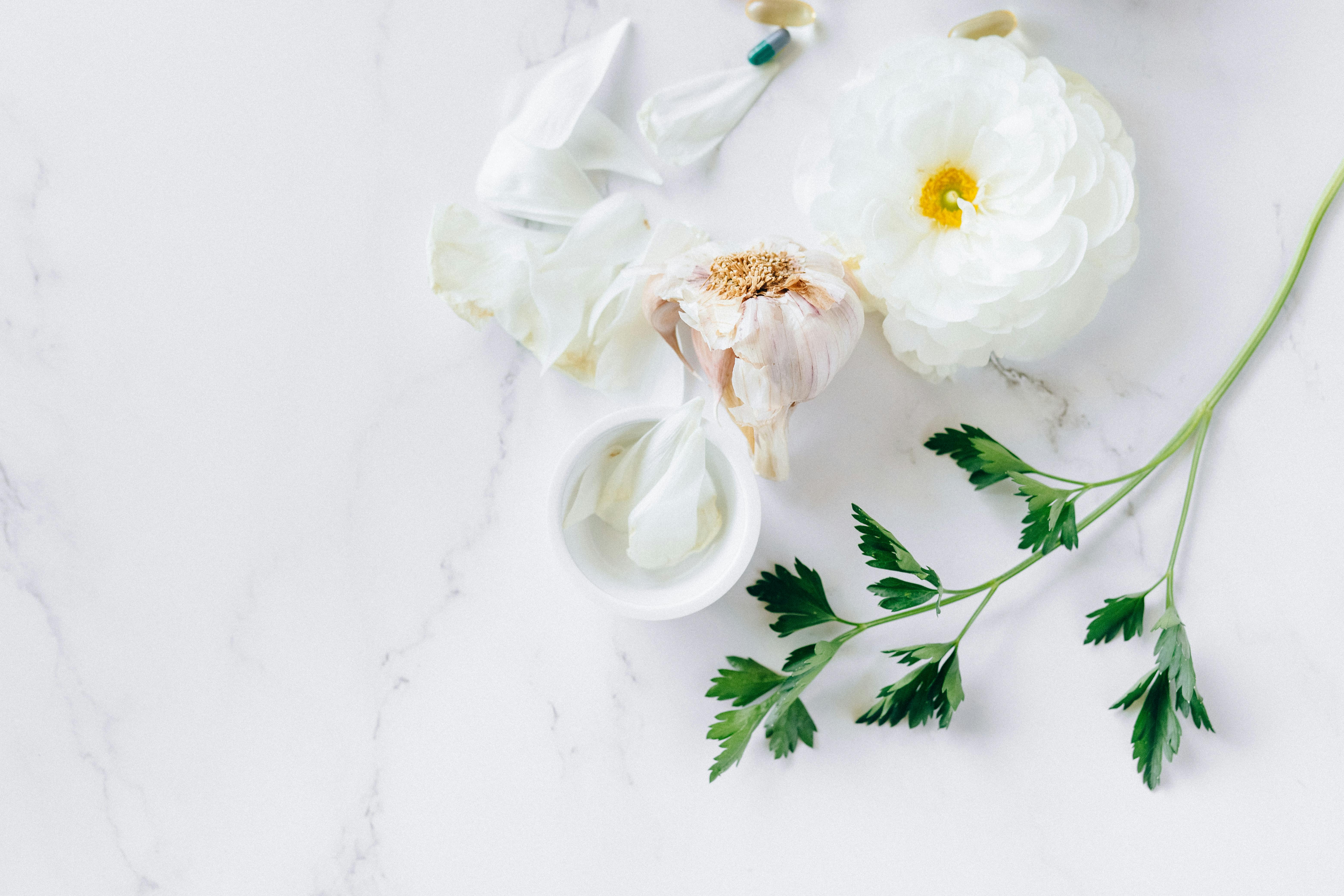 Medication Cream Photos, Download The BEST Free Medication Cream Stock ...