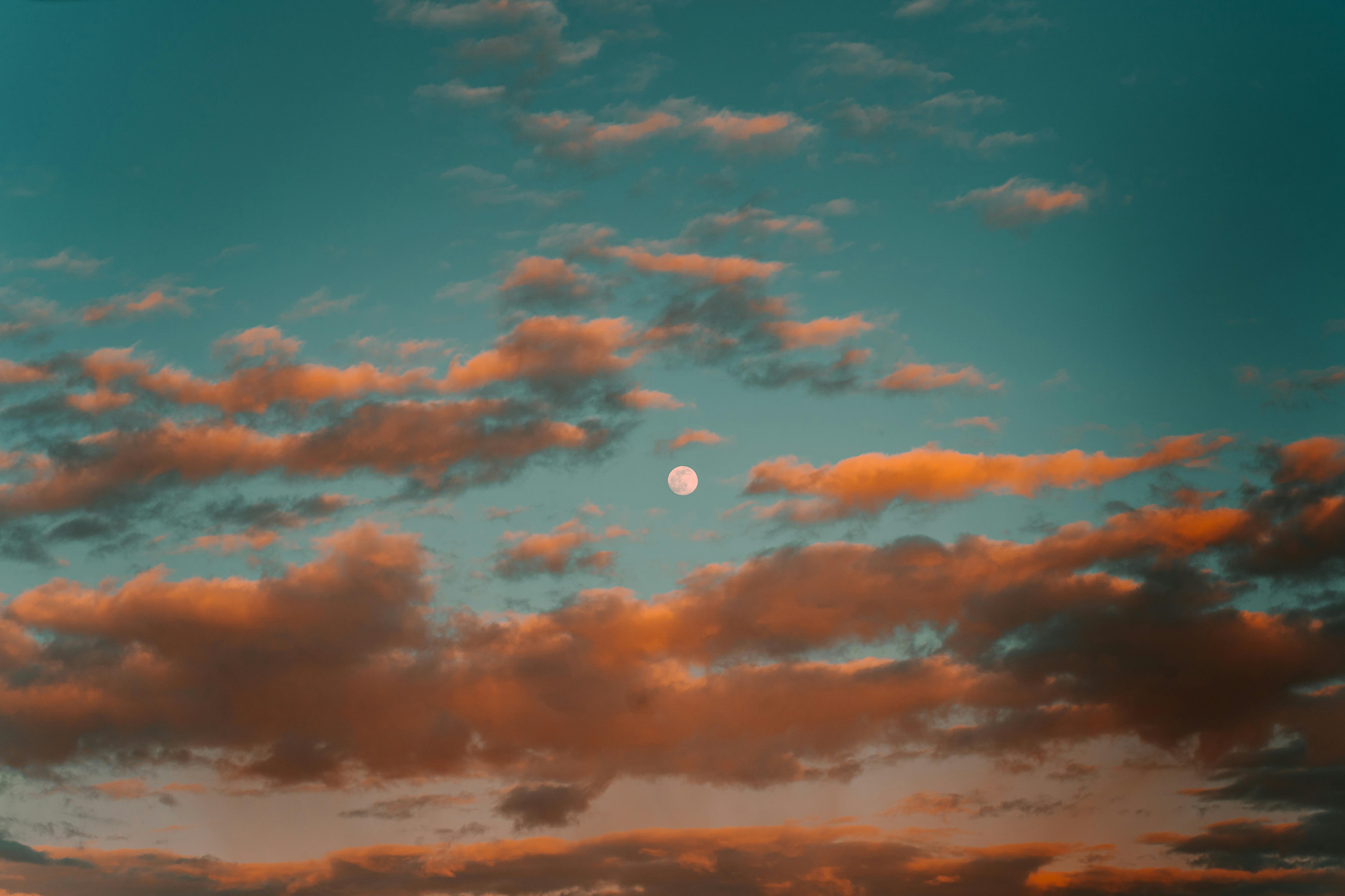Full Moon on a Cloudy Sky · Free Stock Photo