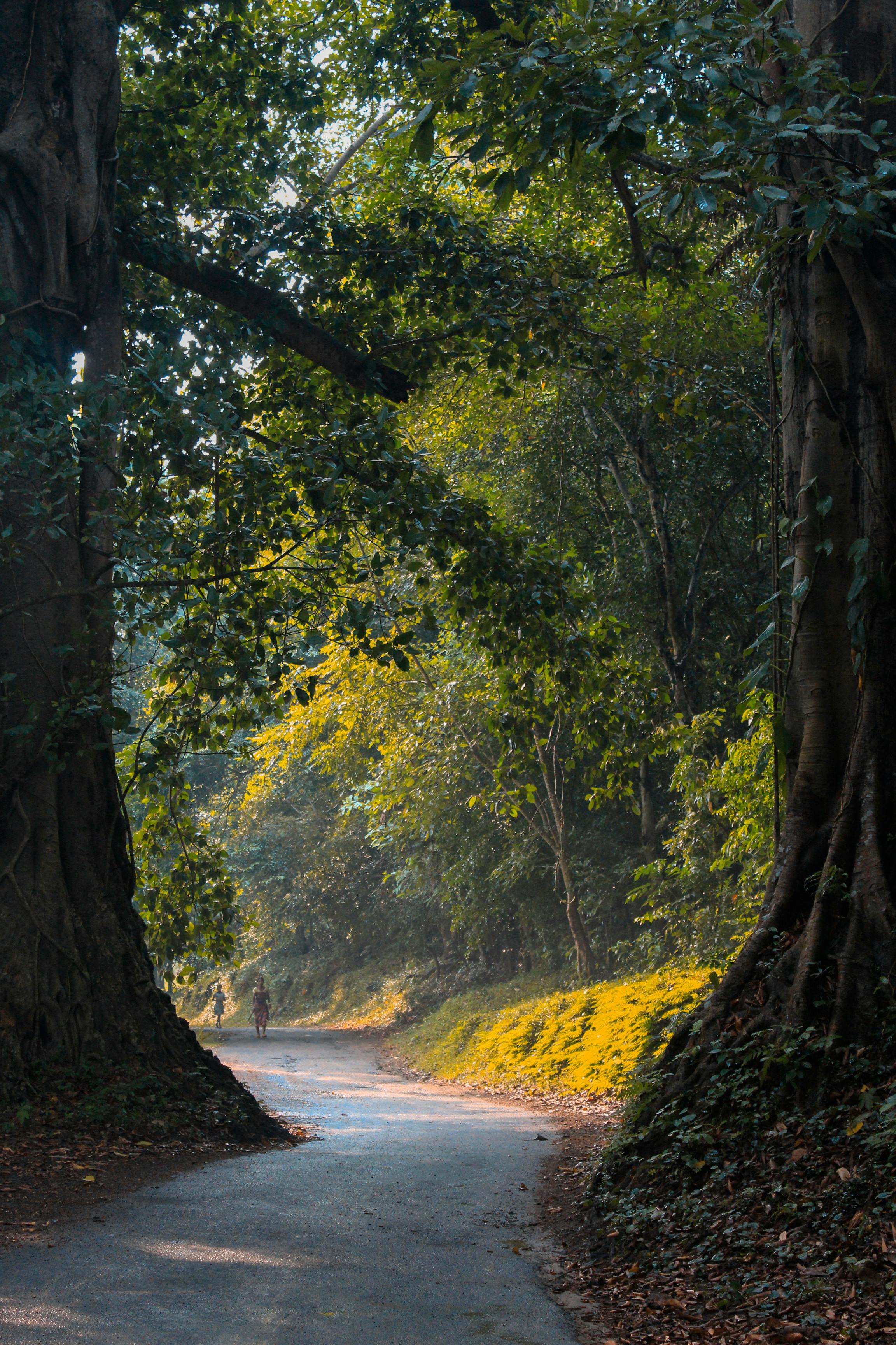 Old Mansion in Park · Free Stock Photo