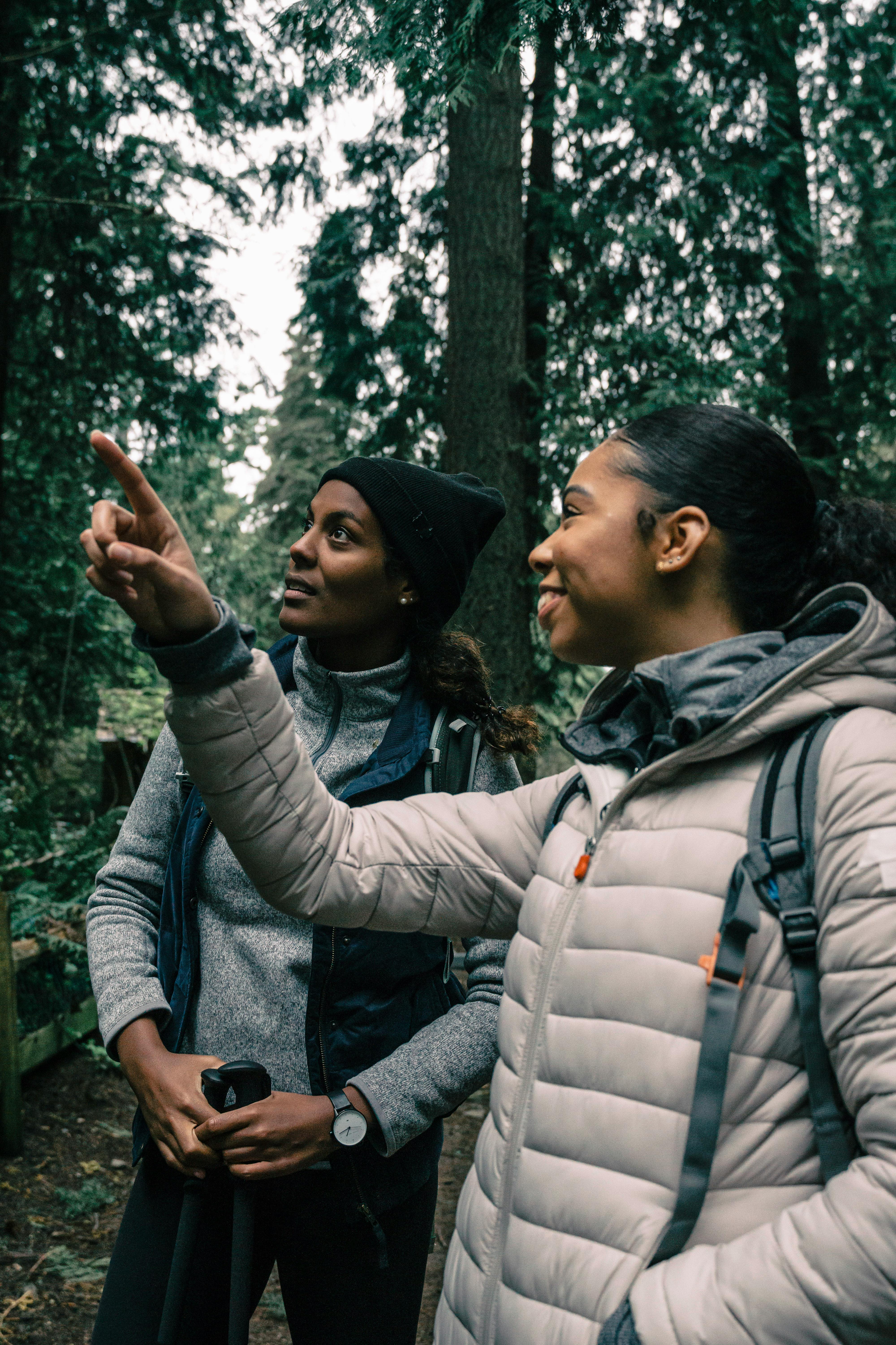 Women Hiking in a Forest · Free Stock Photo