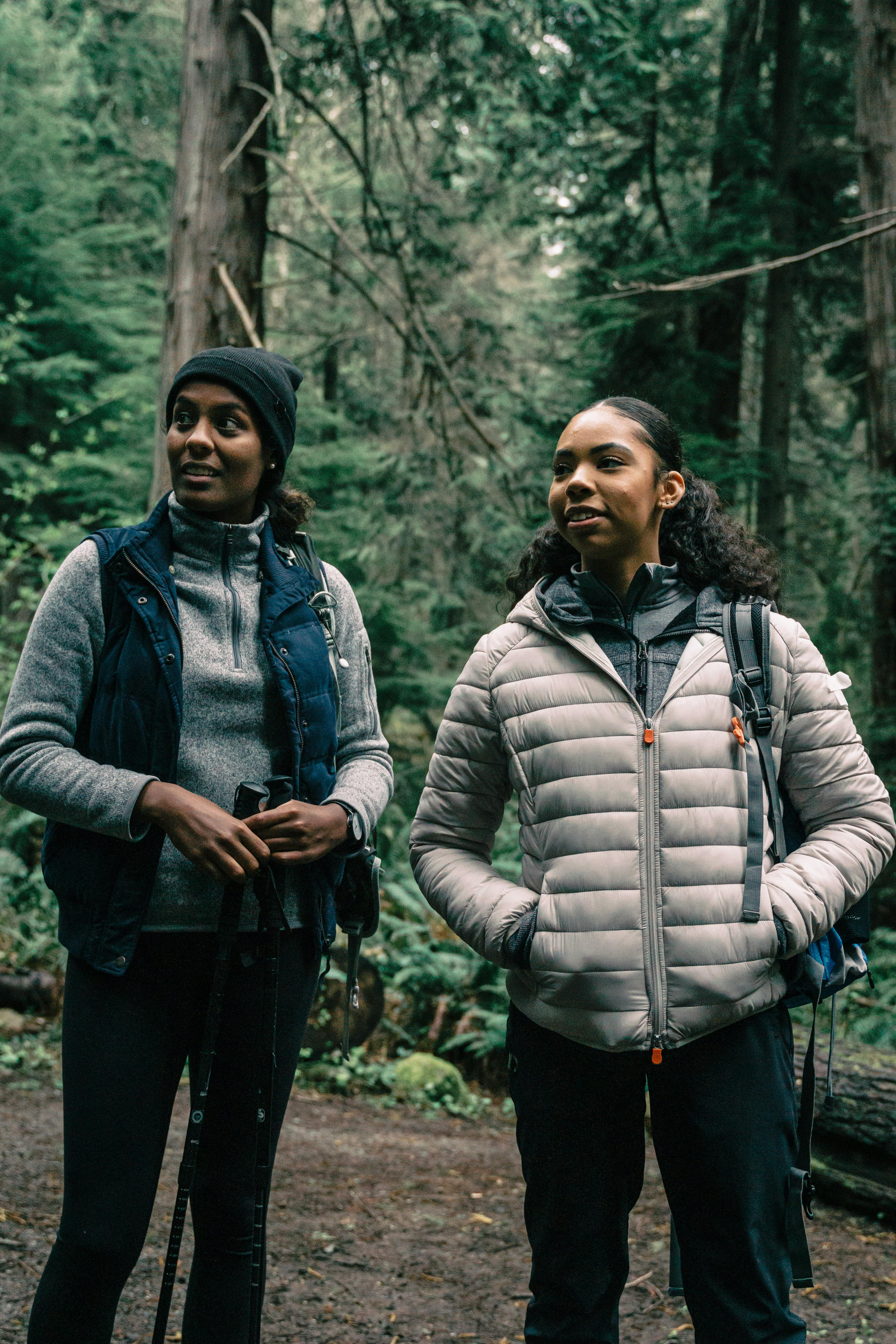 Women Hiking in a Forest · Free Stock Photo