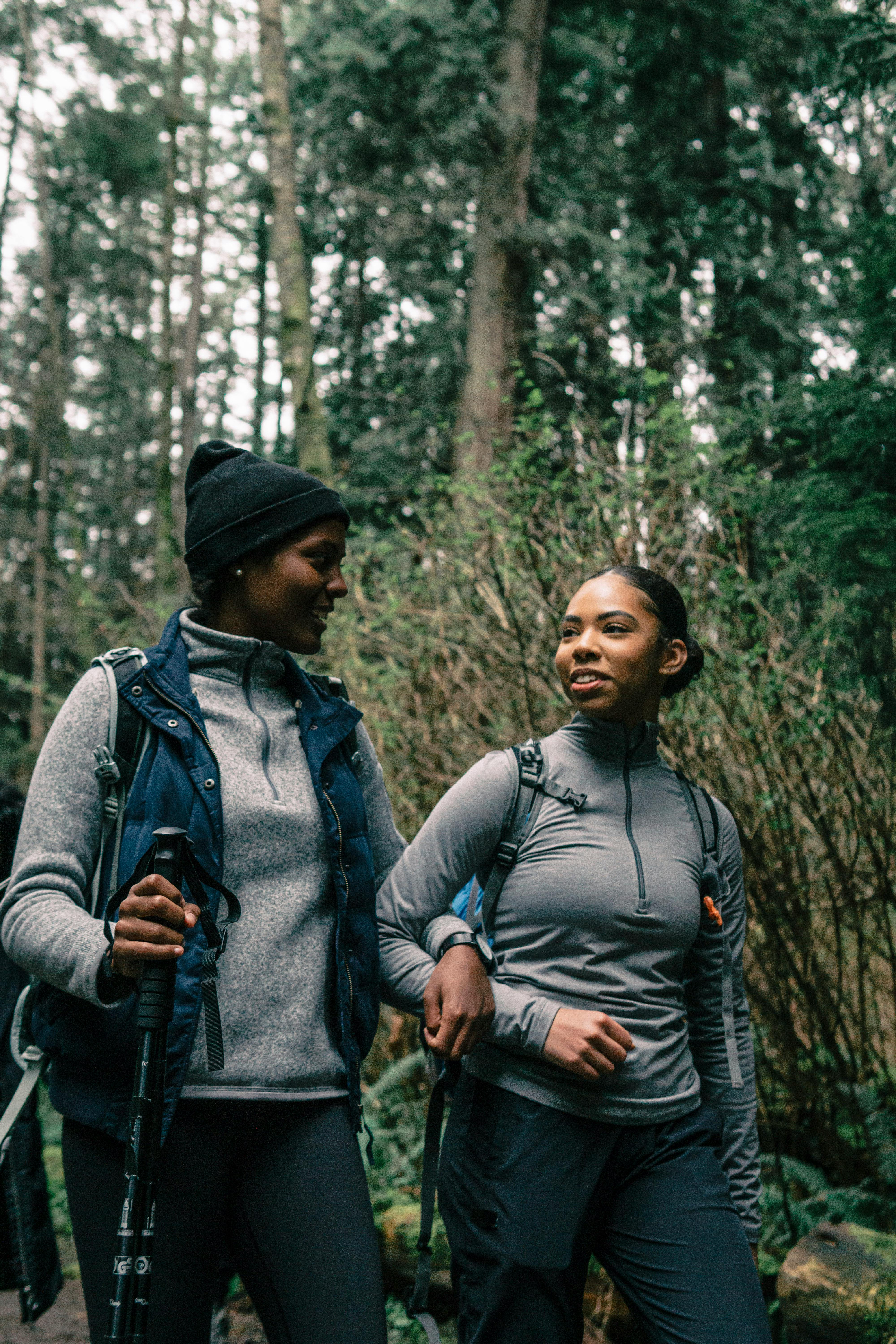 Women Hiking in a Forest · Free Stock Photo