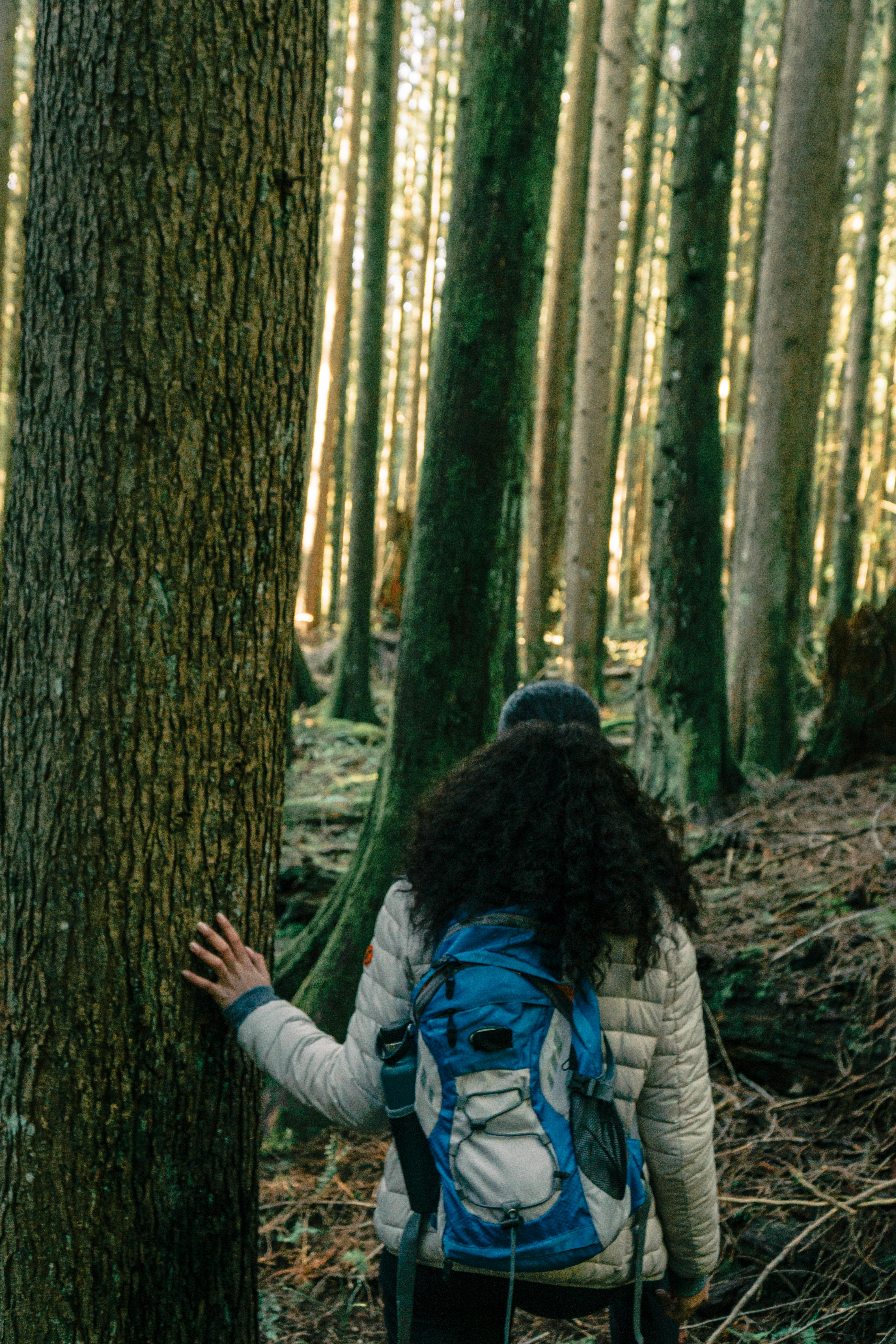 What To Do In Edinburgh: Uncover Hidden Gems And Top Attractions