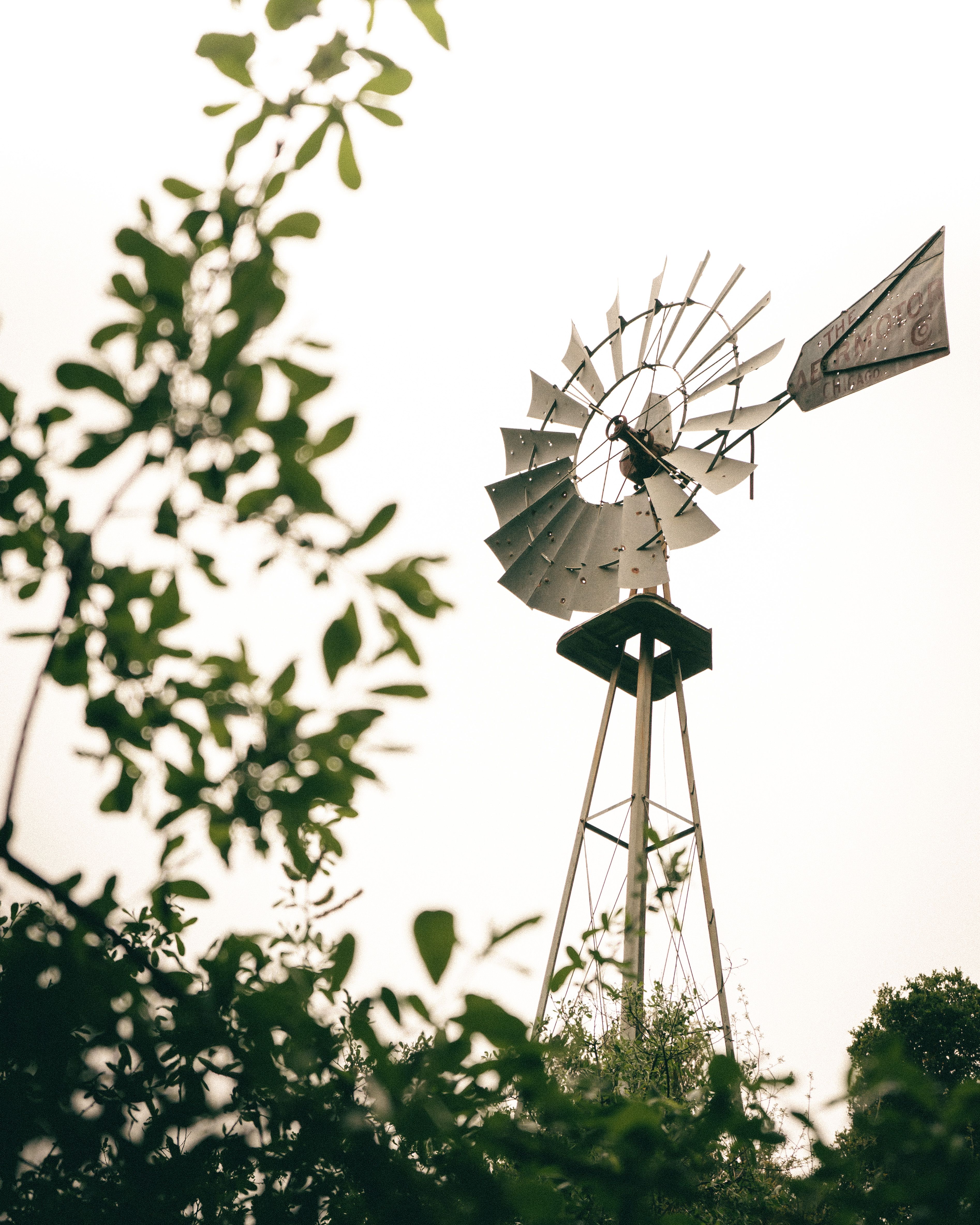A Windmill Beside Green Trees · Free Stock Photo