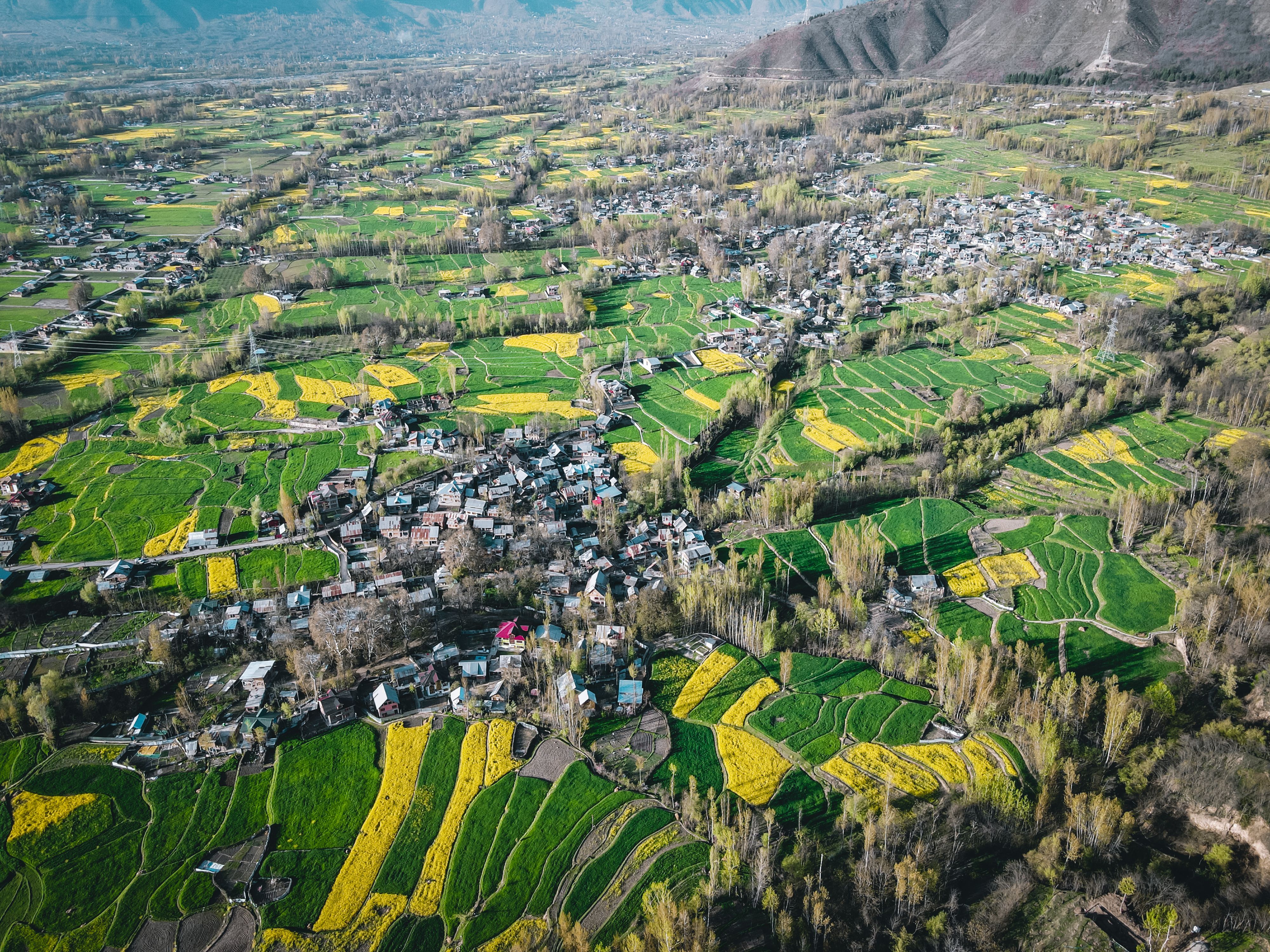 Aerial View of a Village in a Rural Area · Free Stock Photo
