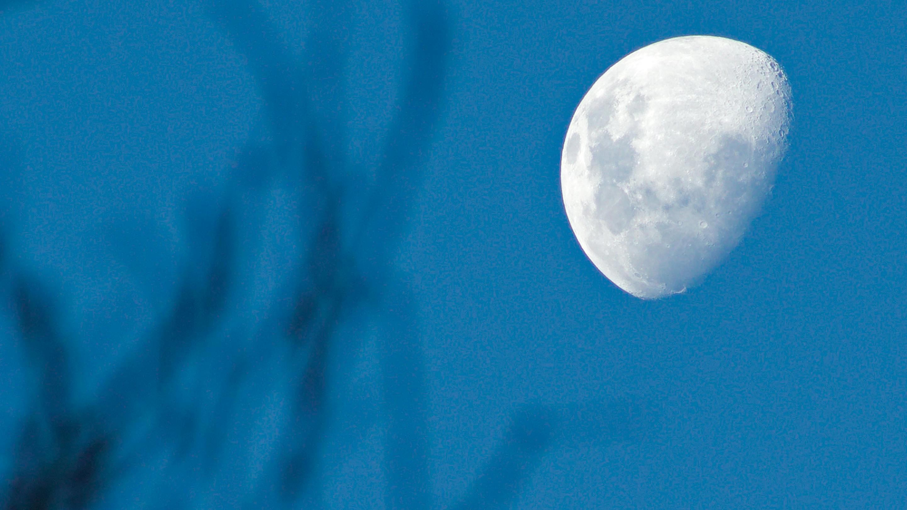 A Half Moon in the Sky · Free Stock Photo