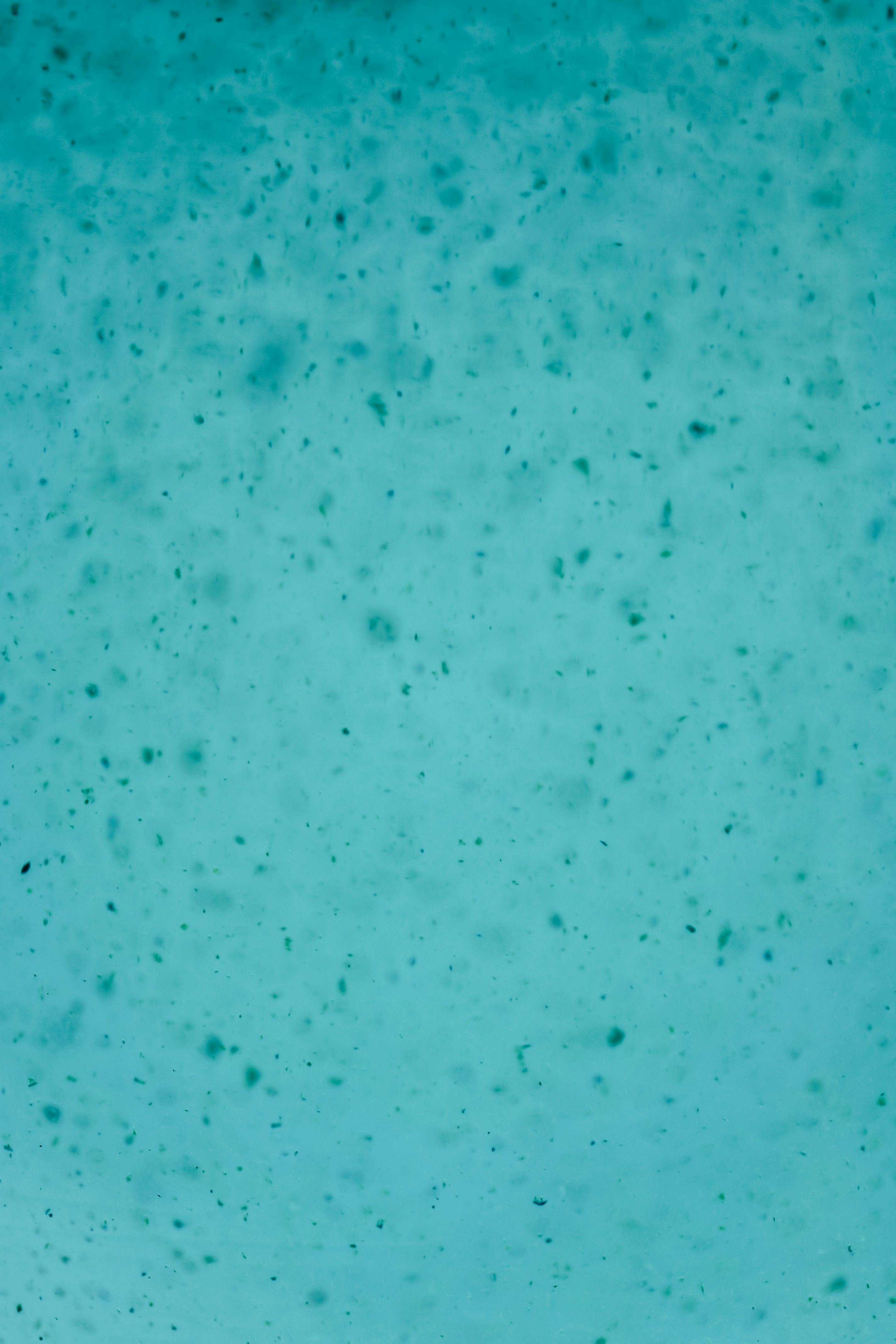 40+ Best Grit Photos · 100% Free Download · Pexels Stock Photos