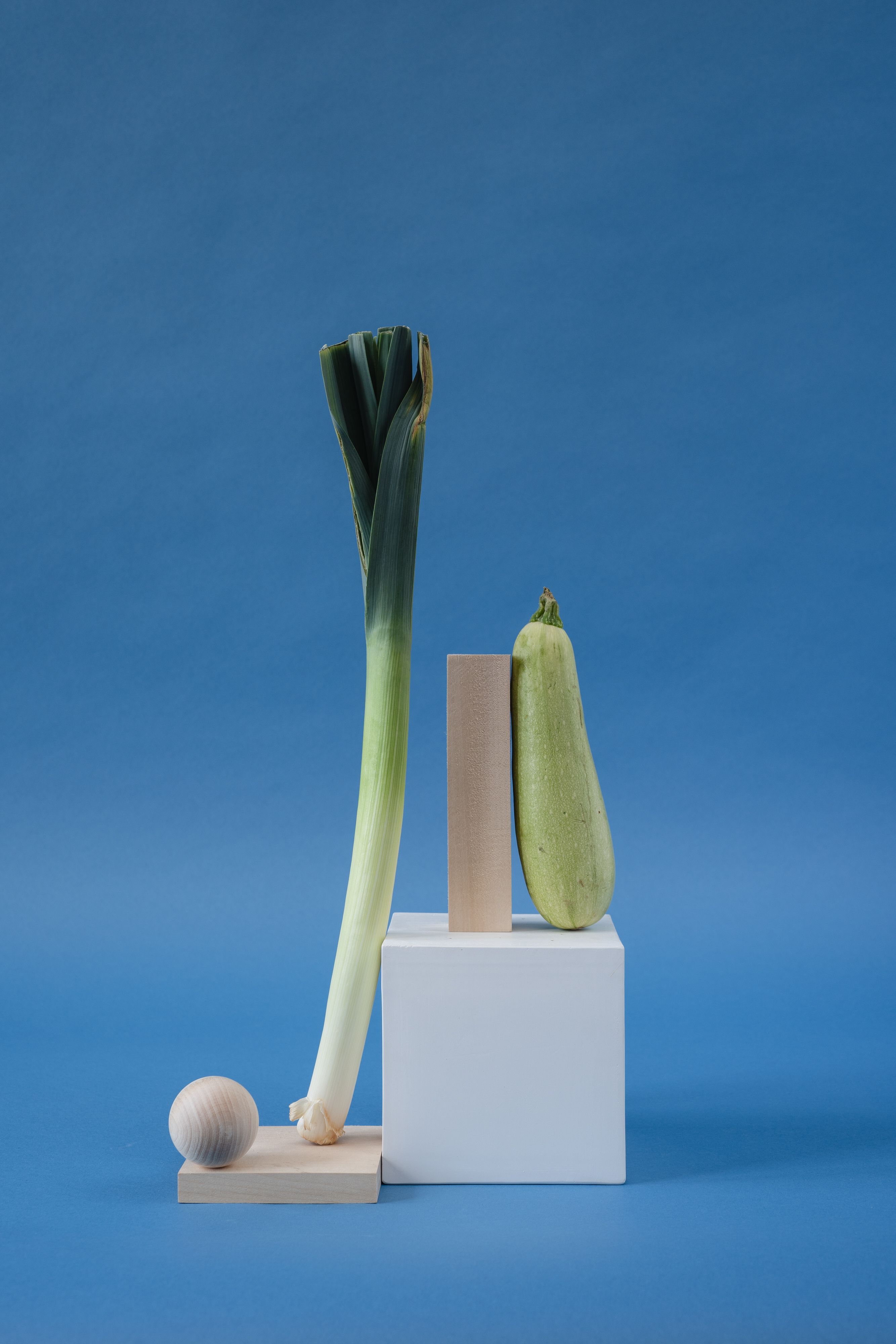No Leek Photos, Download The BEST Free No Leek Stock Photos & HD Images