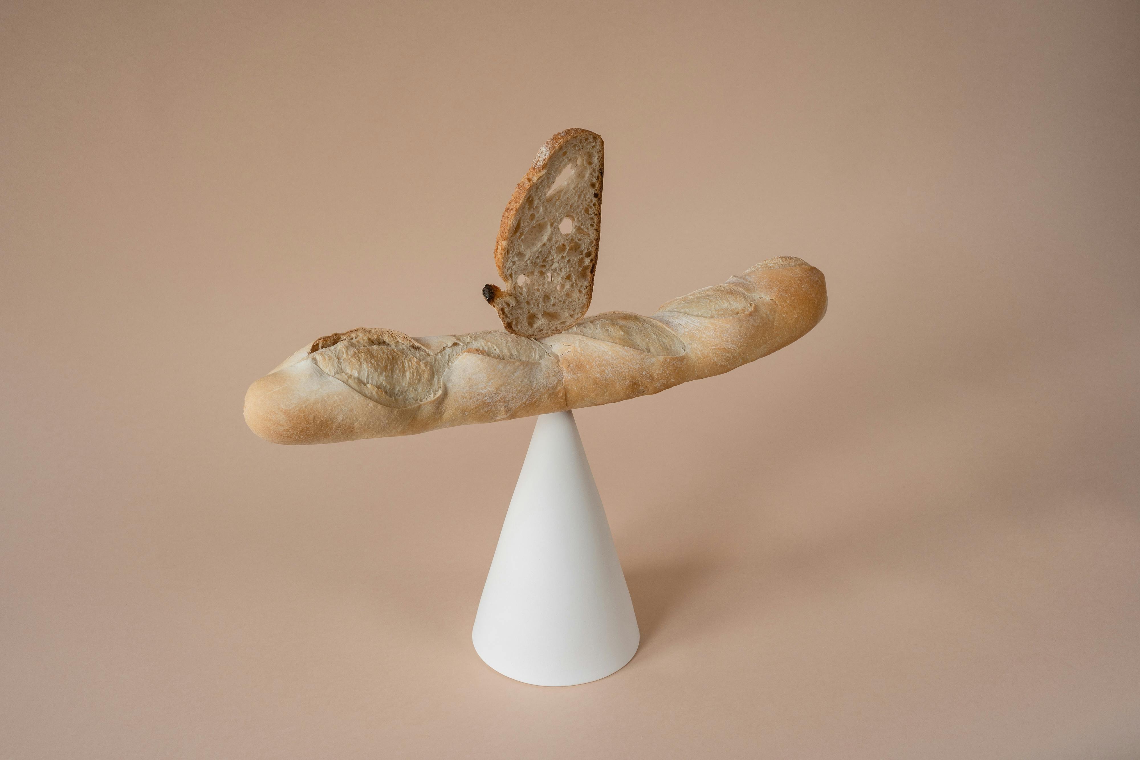 Insect On Bread Photos, Download The BEST Free Insect On Bread Stock ...