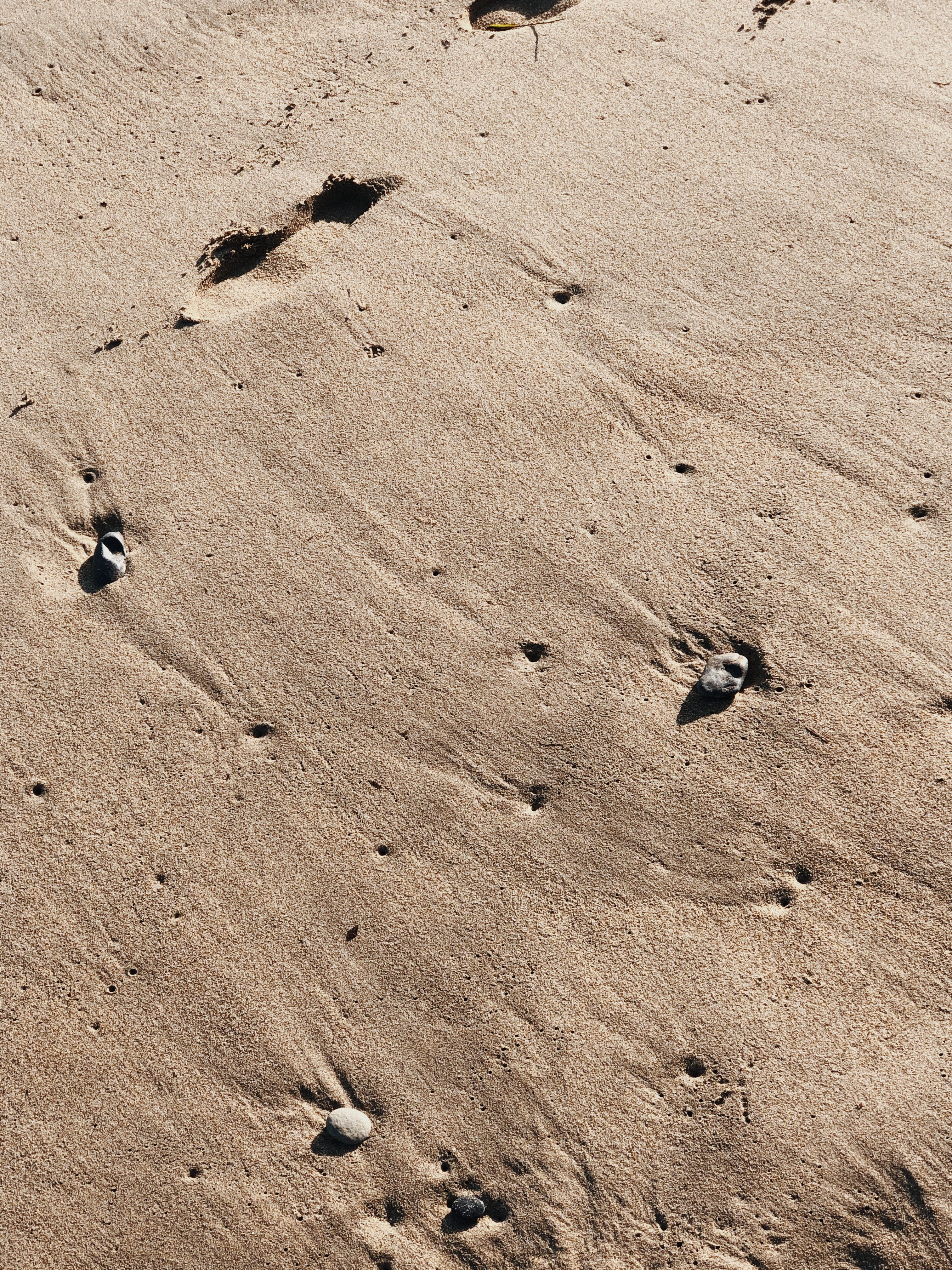 A Photo of Dry Sand · Free Stock Photo
